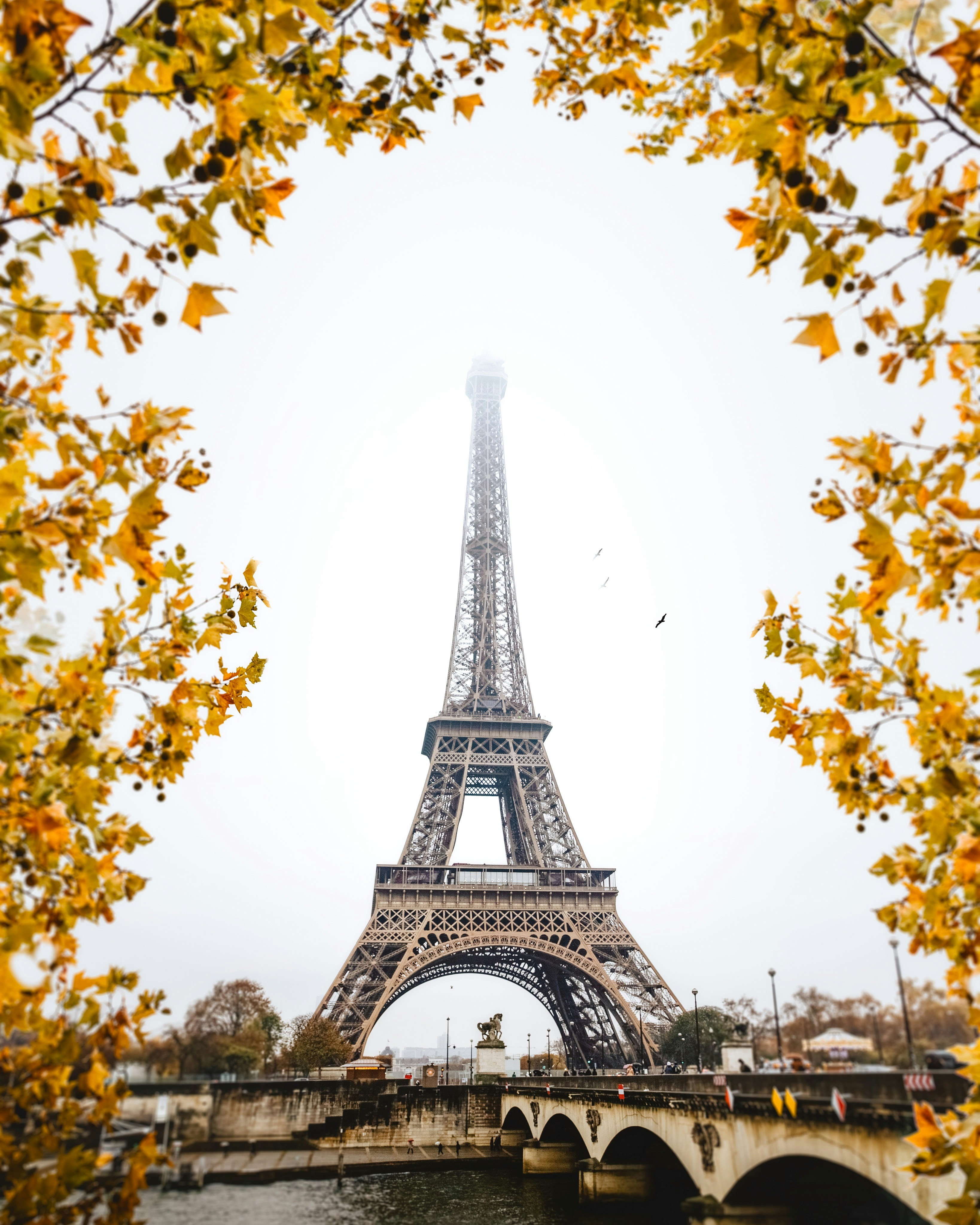 Eiffel Tower framed by vibrant autumn leaves, showcasing a serene Parisian scene beneath a misty sky.