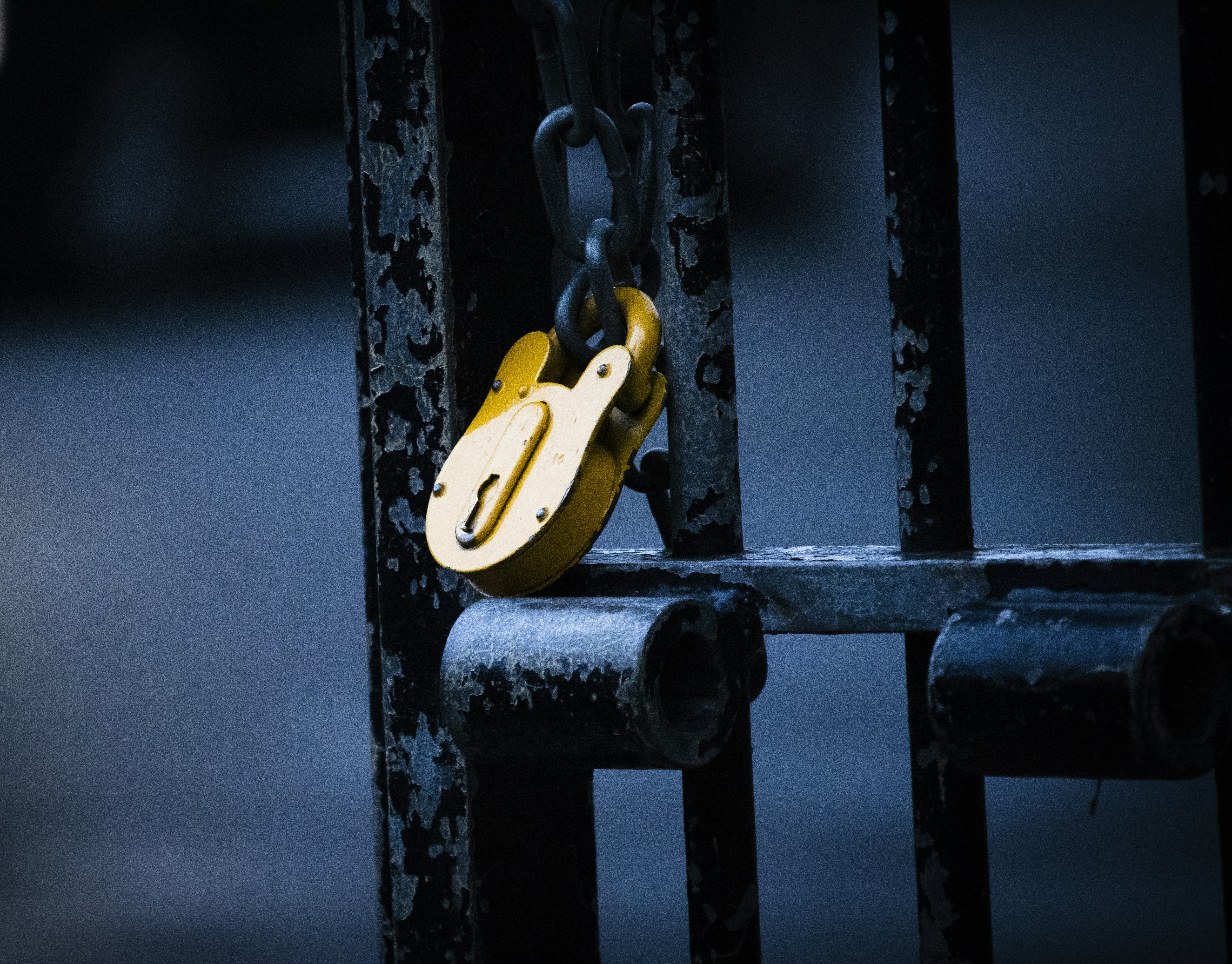 Brass padlock on black metal fence photo – Free Fruit Image on Unsplash