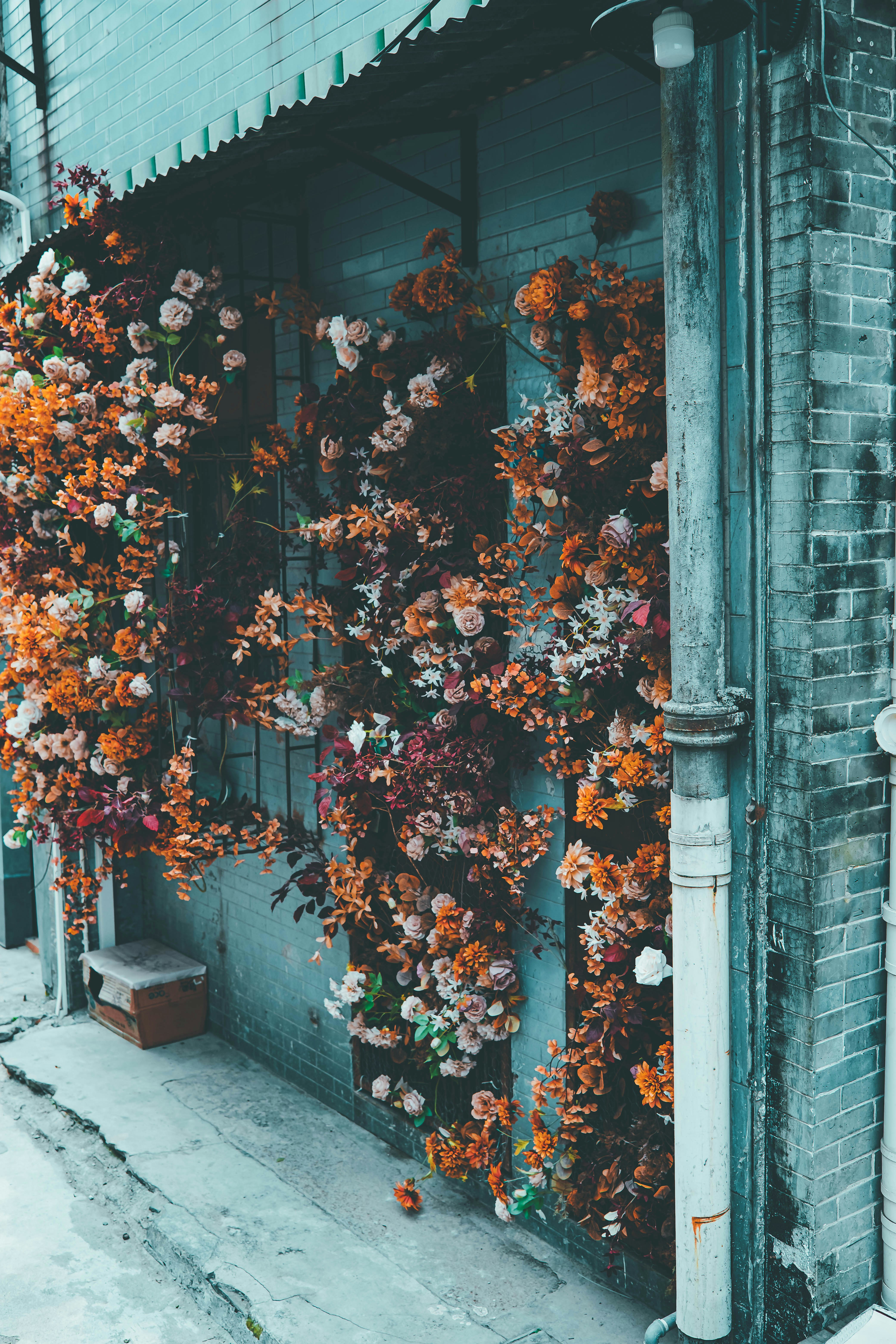 Vibrant wall adorned with an array of orange and pink flowers, contrasting against a muted blue background, creating a lively urban scene.
