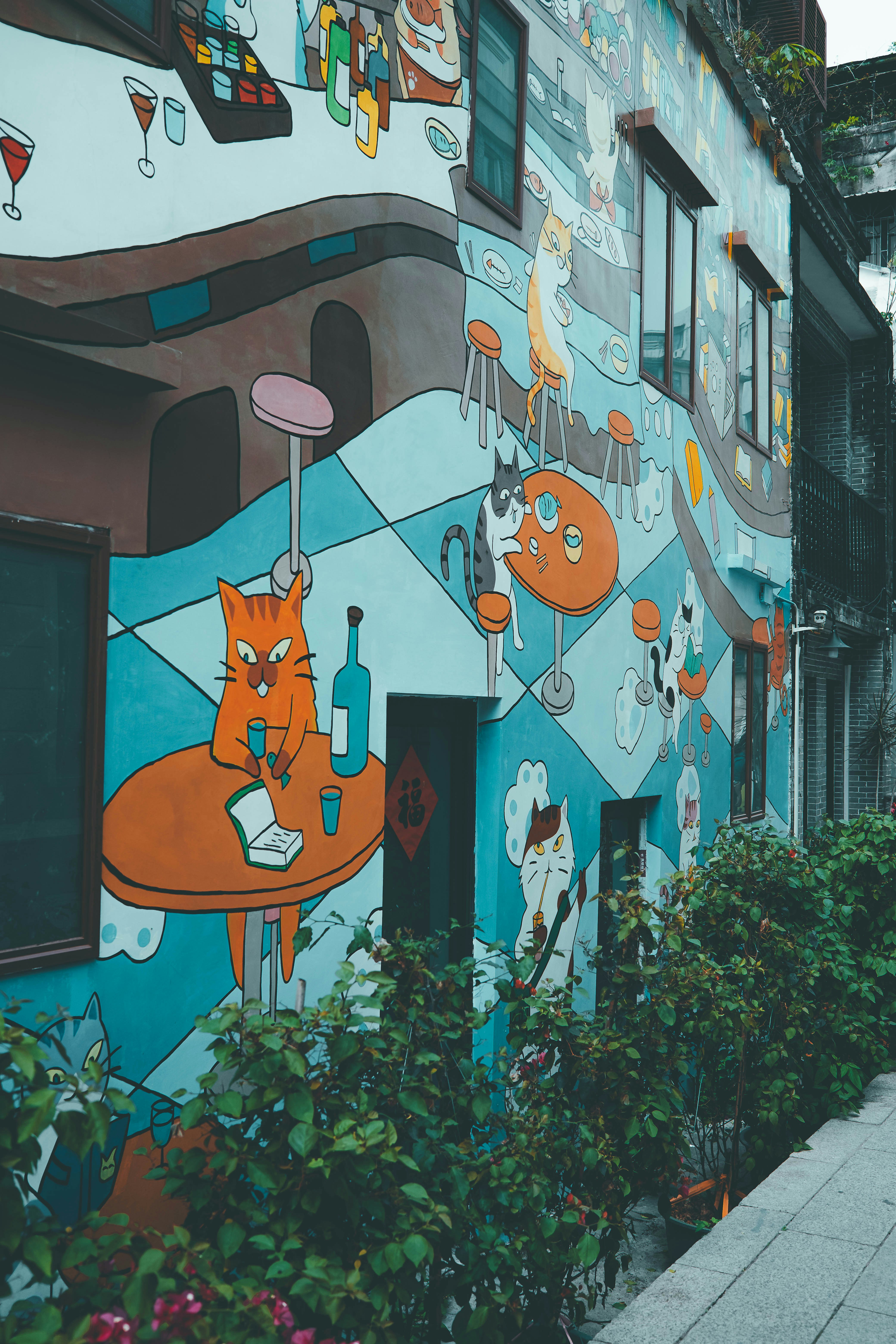 Whiskers at the Painted Café: A City Wall Teeming with Color