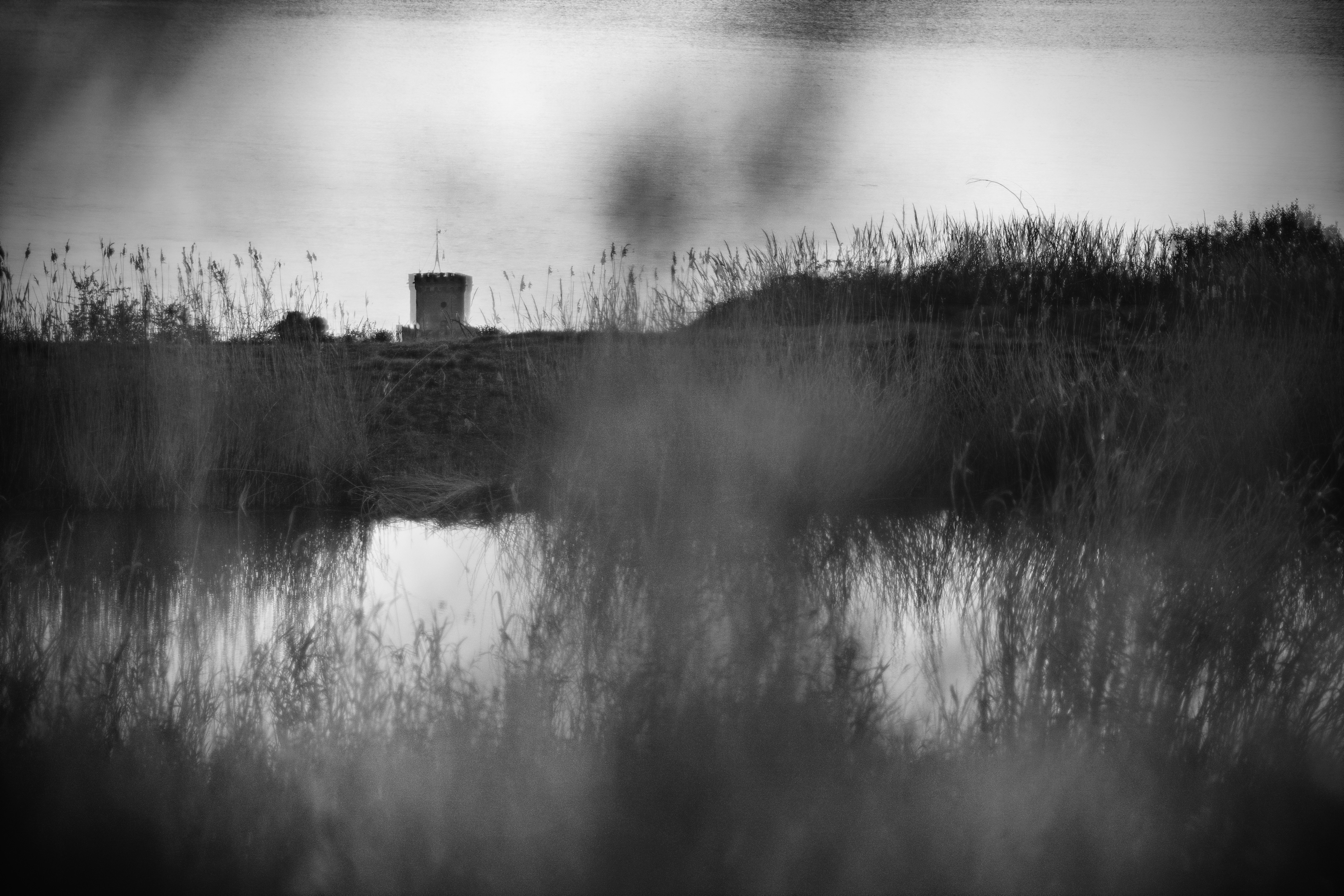 A solitary structure emerges from a tranquil lake, framed by tall grasses in monochrome tones.