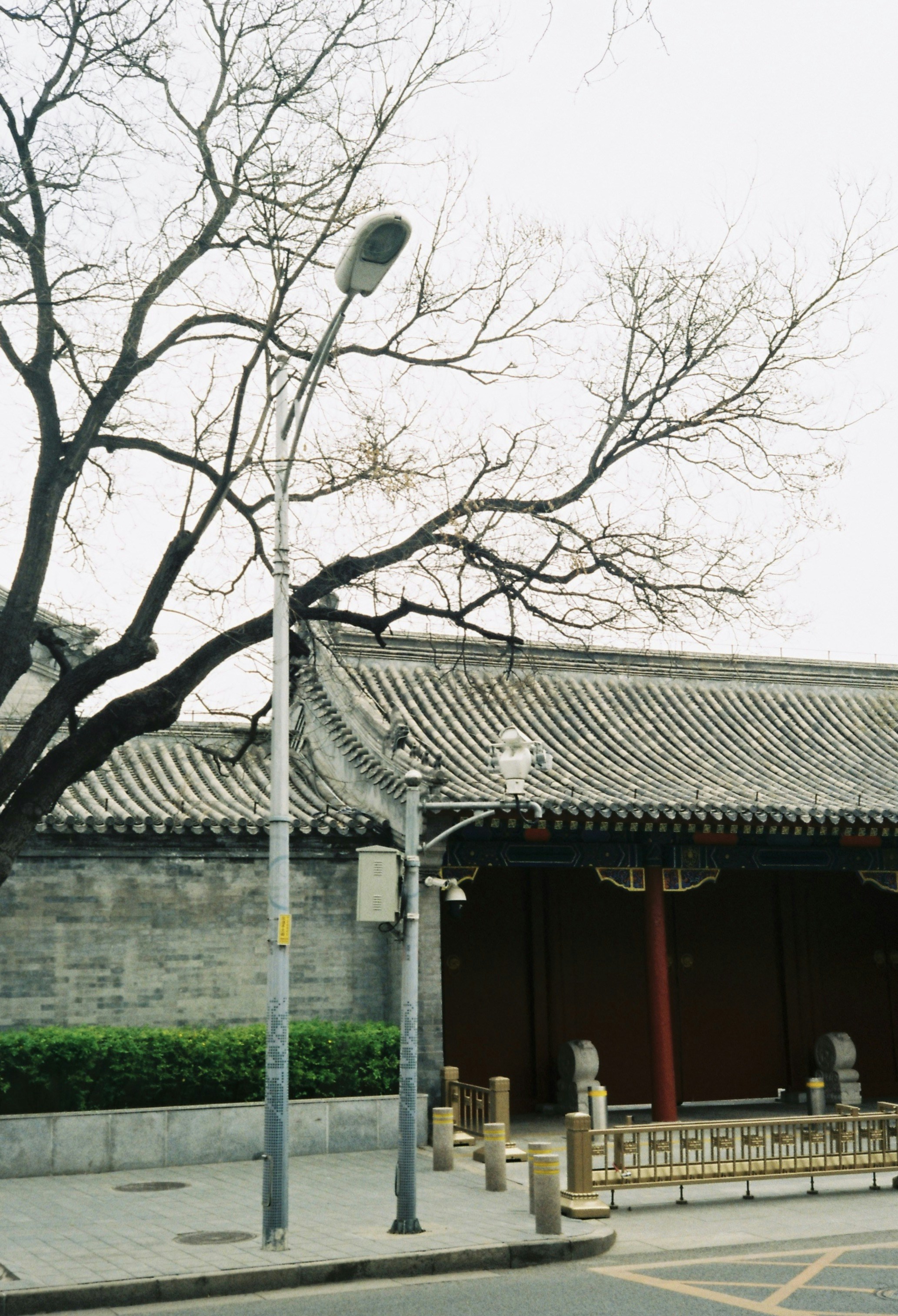 Lantern in the Shadow of Traditional Tiles