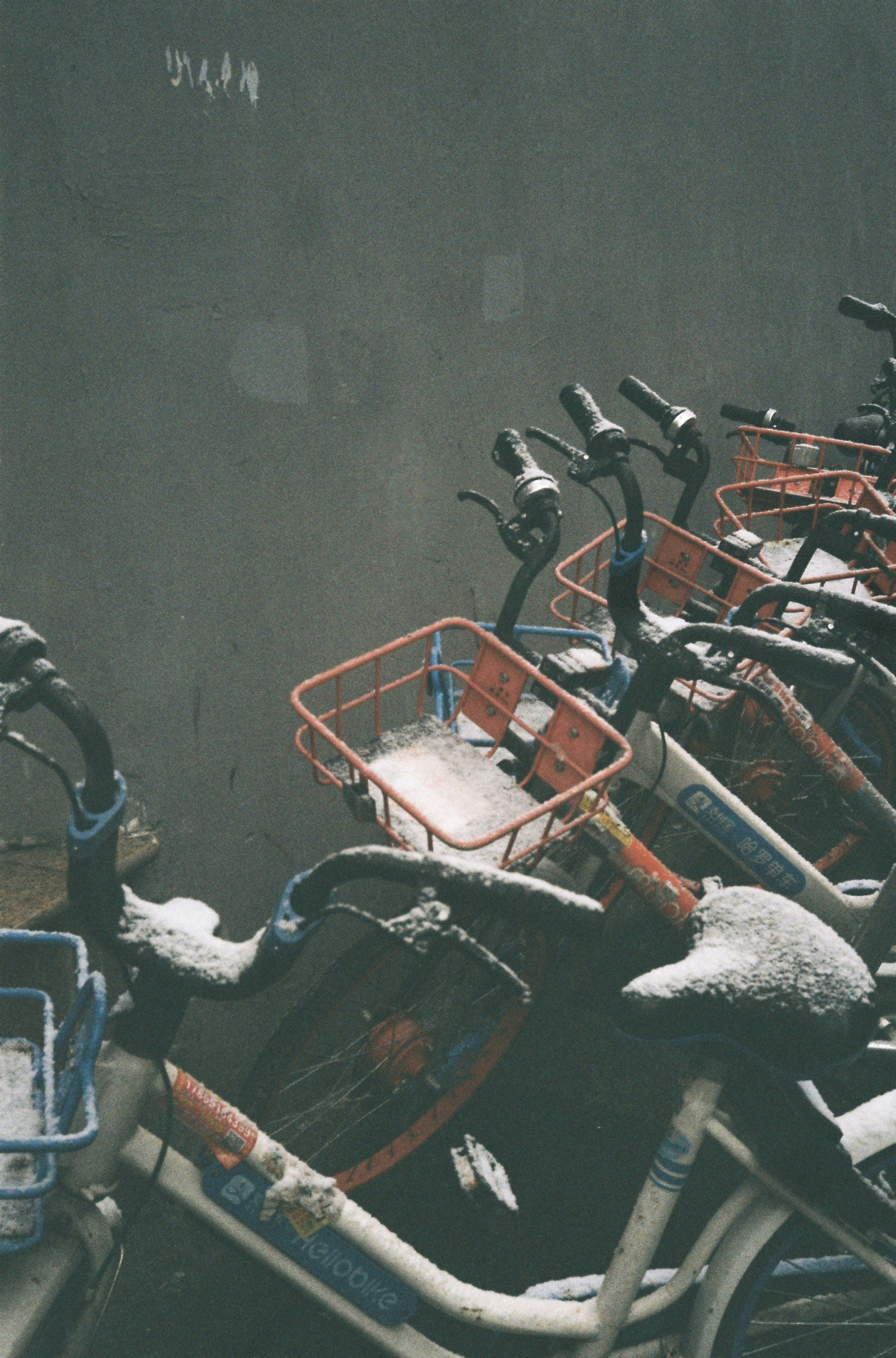 Frost-Dusted Baskets: A Row of City Bikes Against a Quiet WallYifei Wong