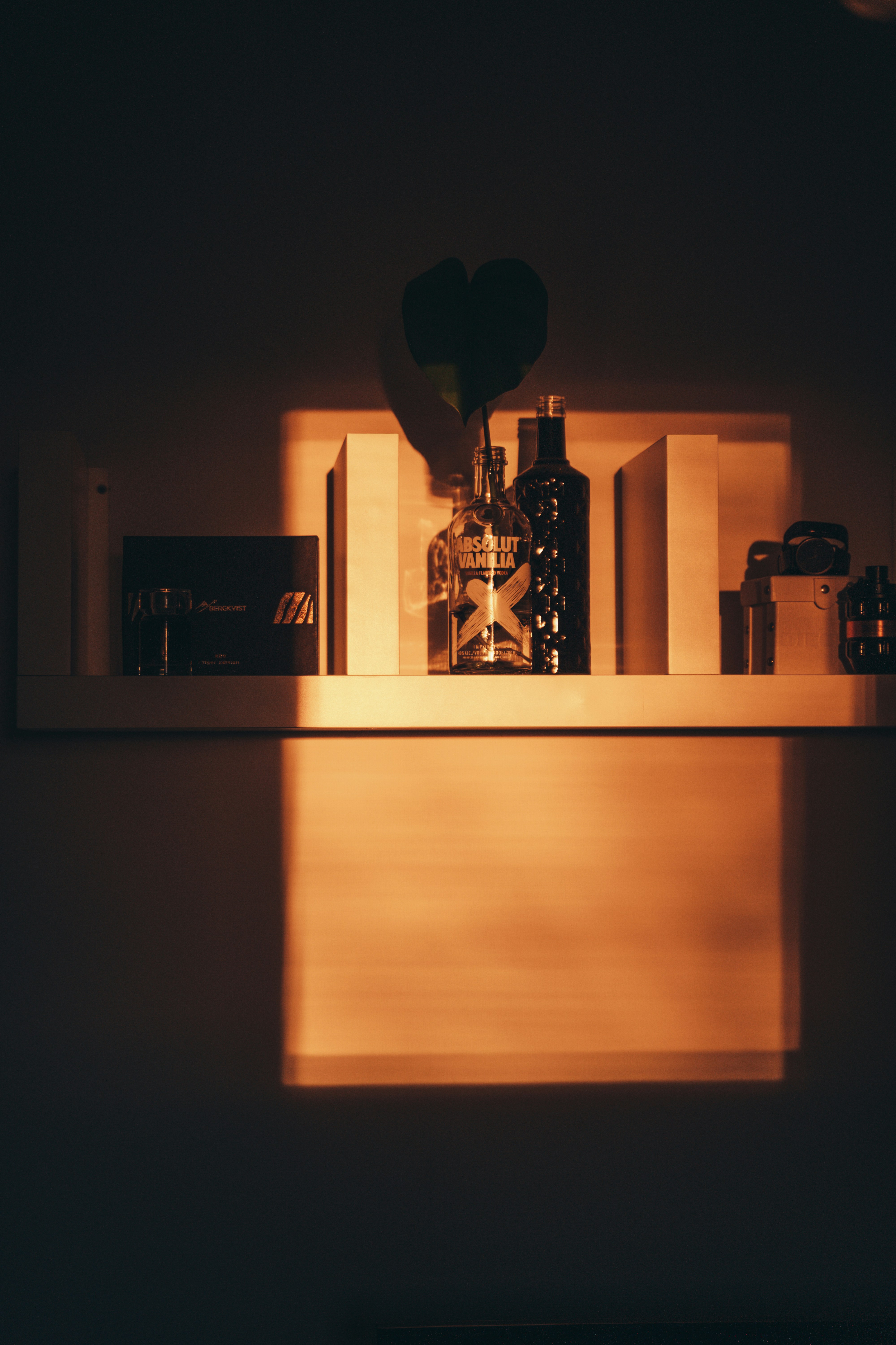 A shelf adorned with a leaf and various bottles, illuminated by warm, golden light casting soft shadows on the wall.