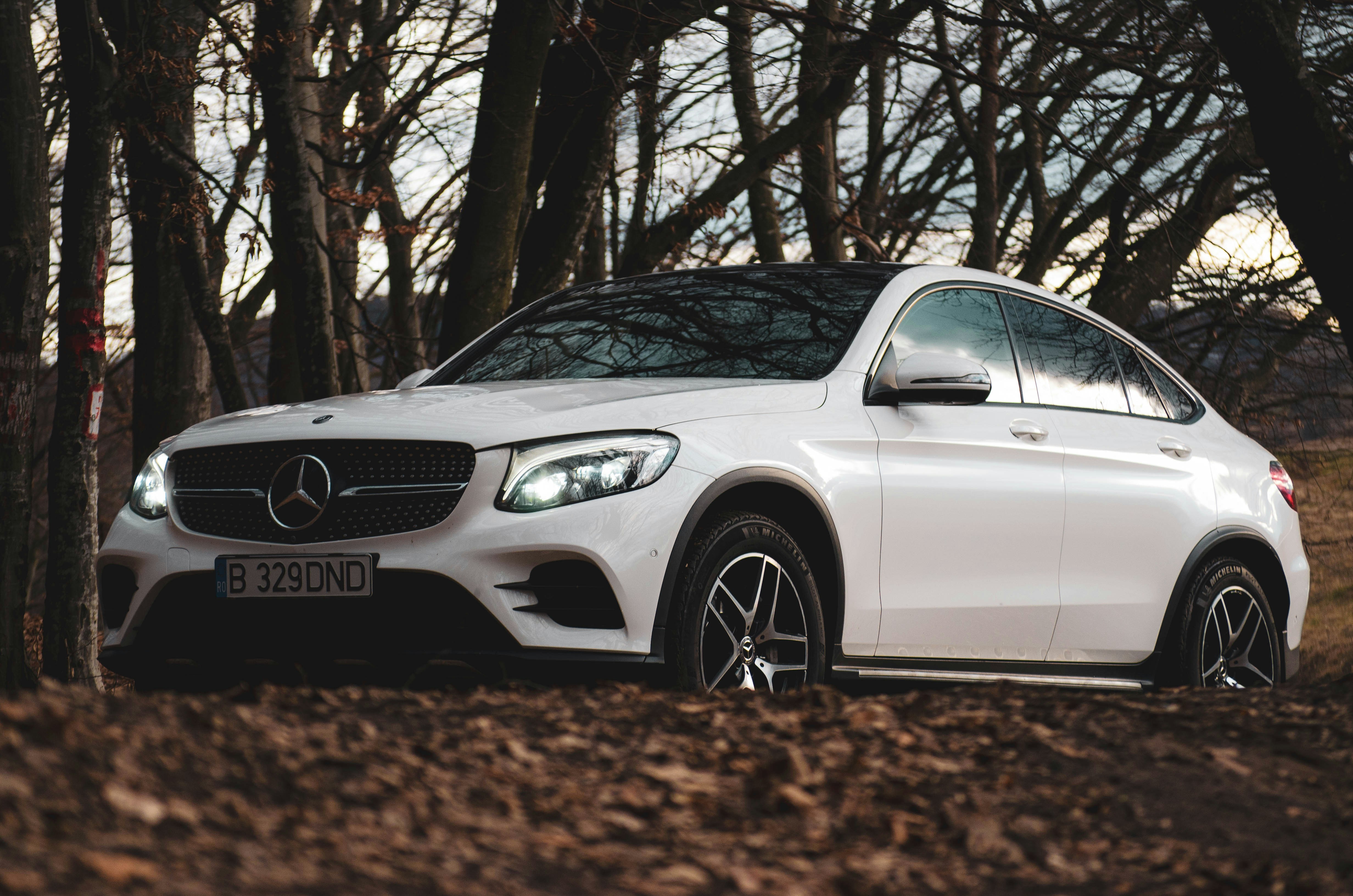 White mercedes benz coupe on forest during daytime photo – Free Grey ...