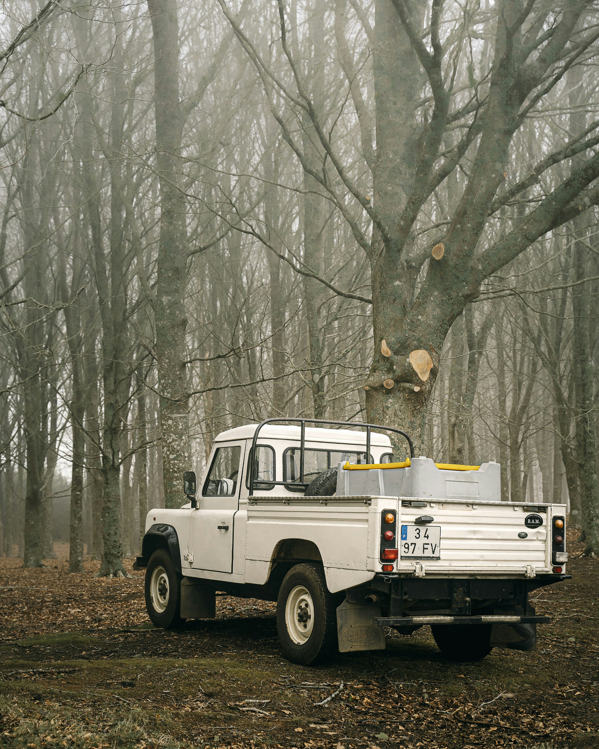 White utility truck parked amidst a fog-laden forest, showcasing the tranquility of nature. The surrounding trees stand tall, partially obscured by mist.