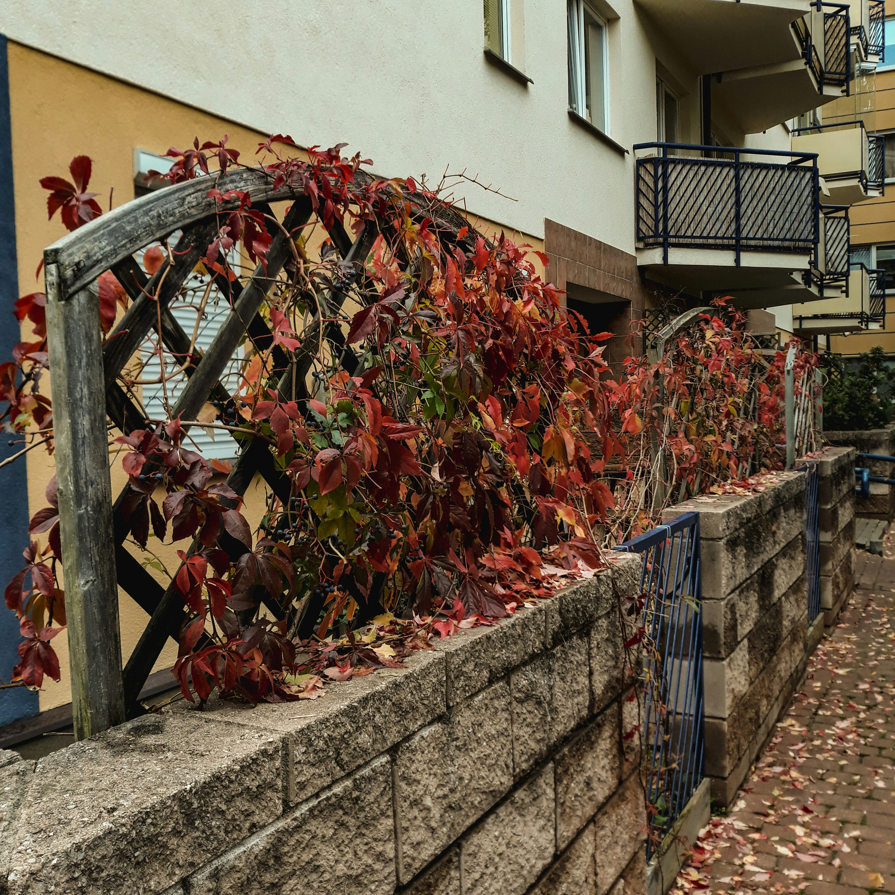 Jane Y (@jane_y) | Unsplash Photo Community