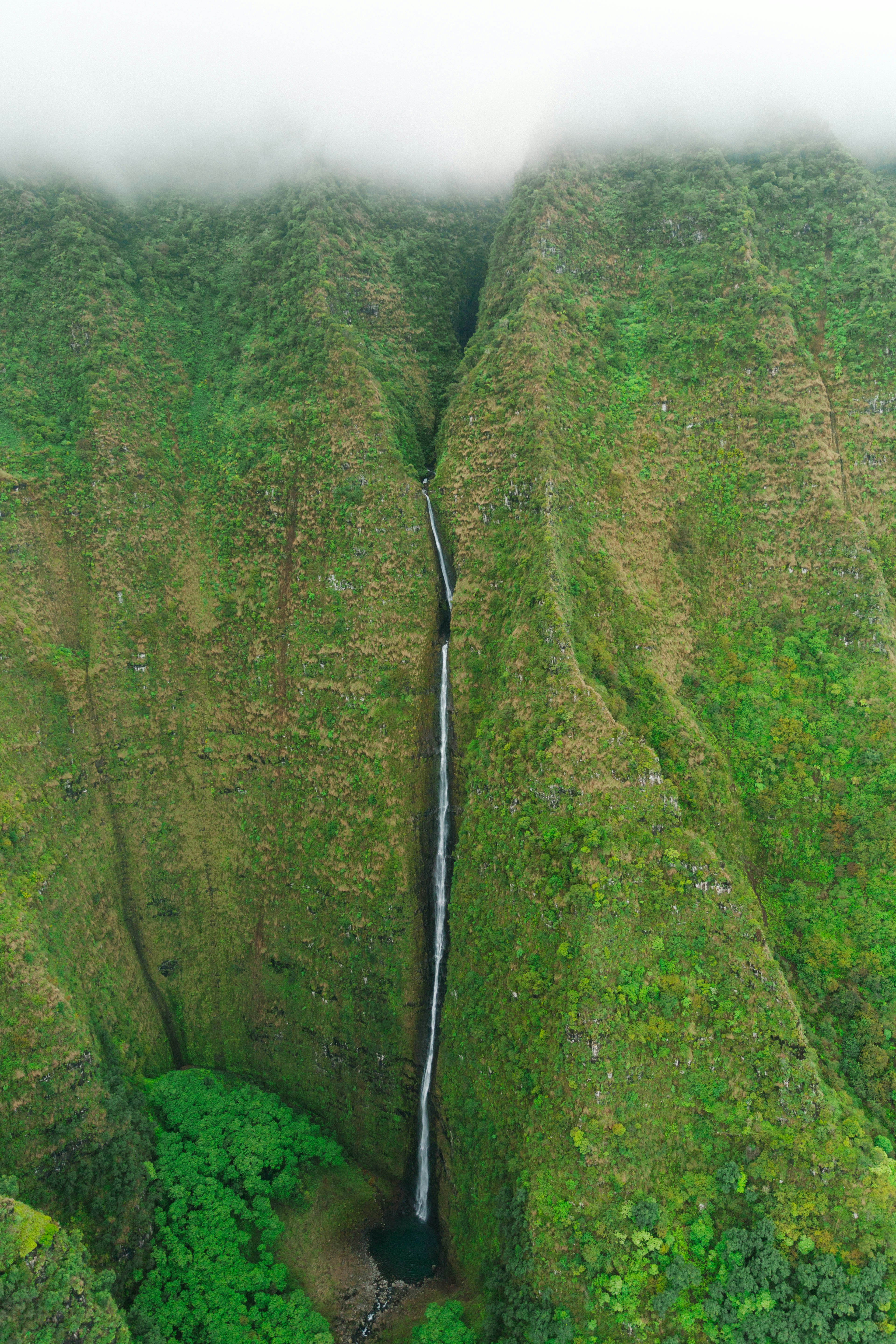 Verdant Gorge Cascade: a slender waterfall threading emerald cliffs under mist