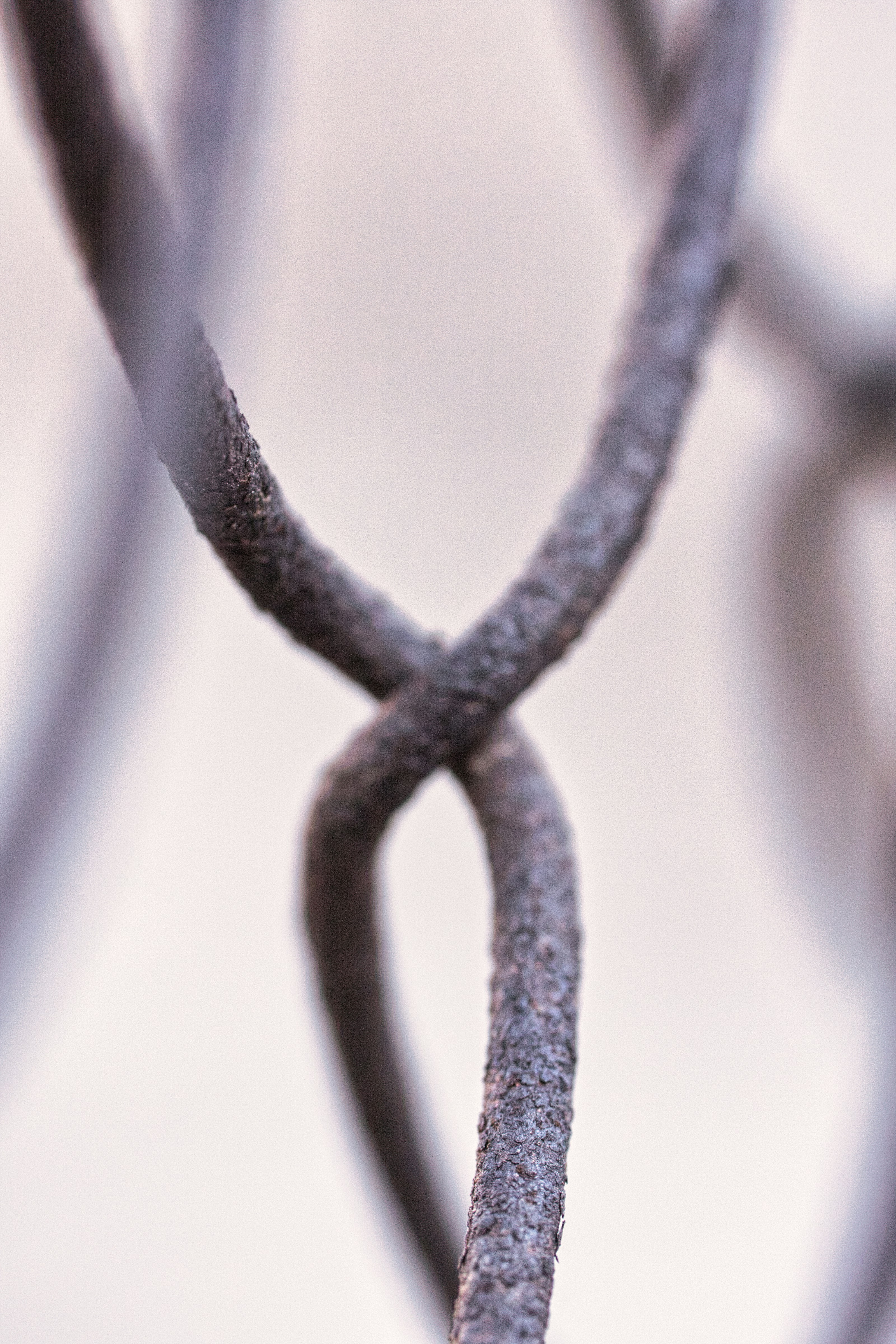 Grey metal wire in close up photography photo – Free Grey Image on Unsplash