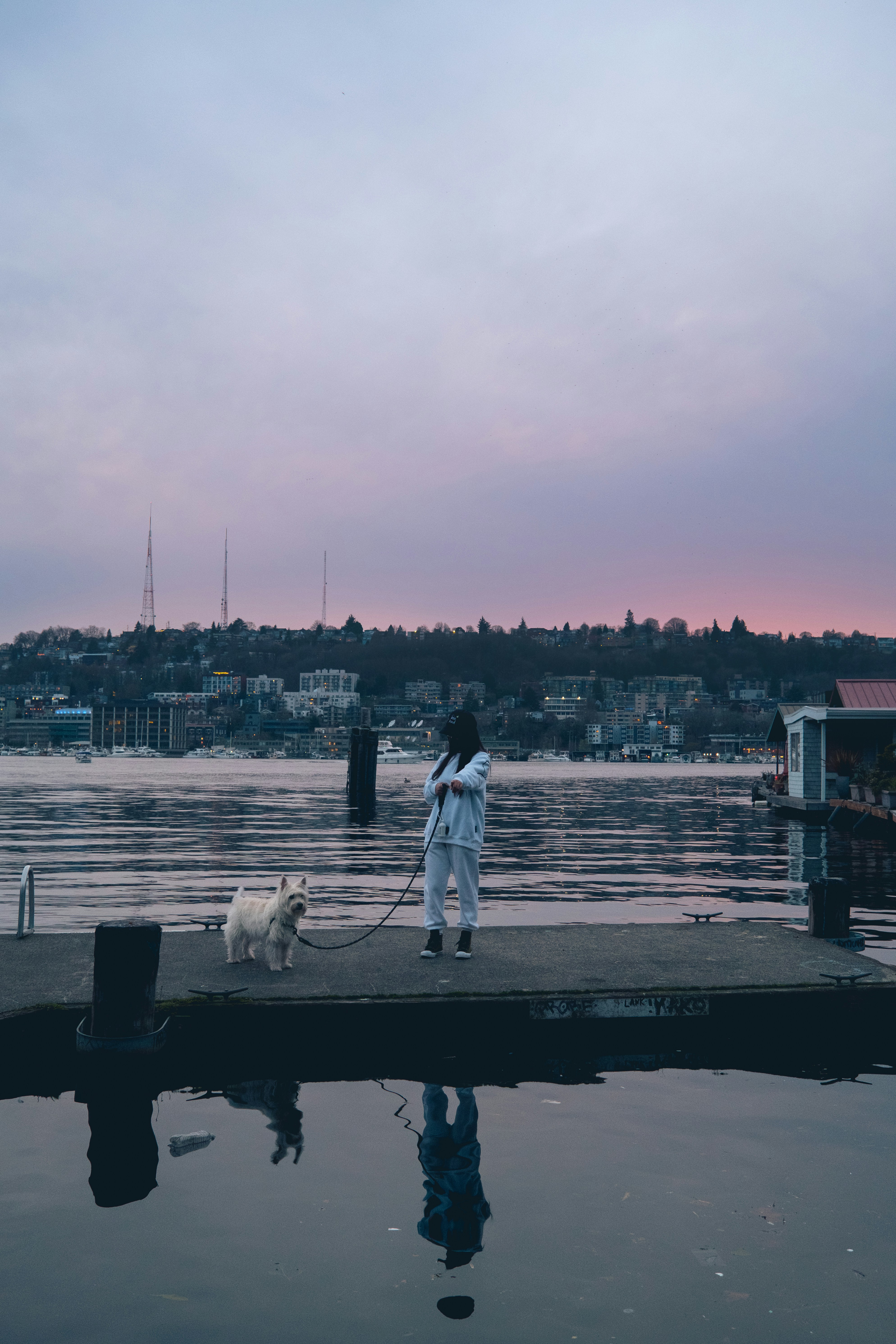 Twilight on the Pier: A Quiet Walk with a Dog Over a Glassy Harbor