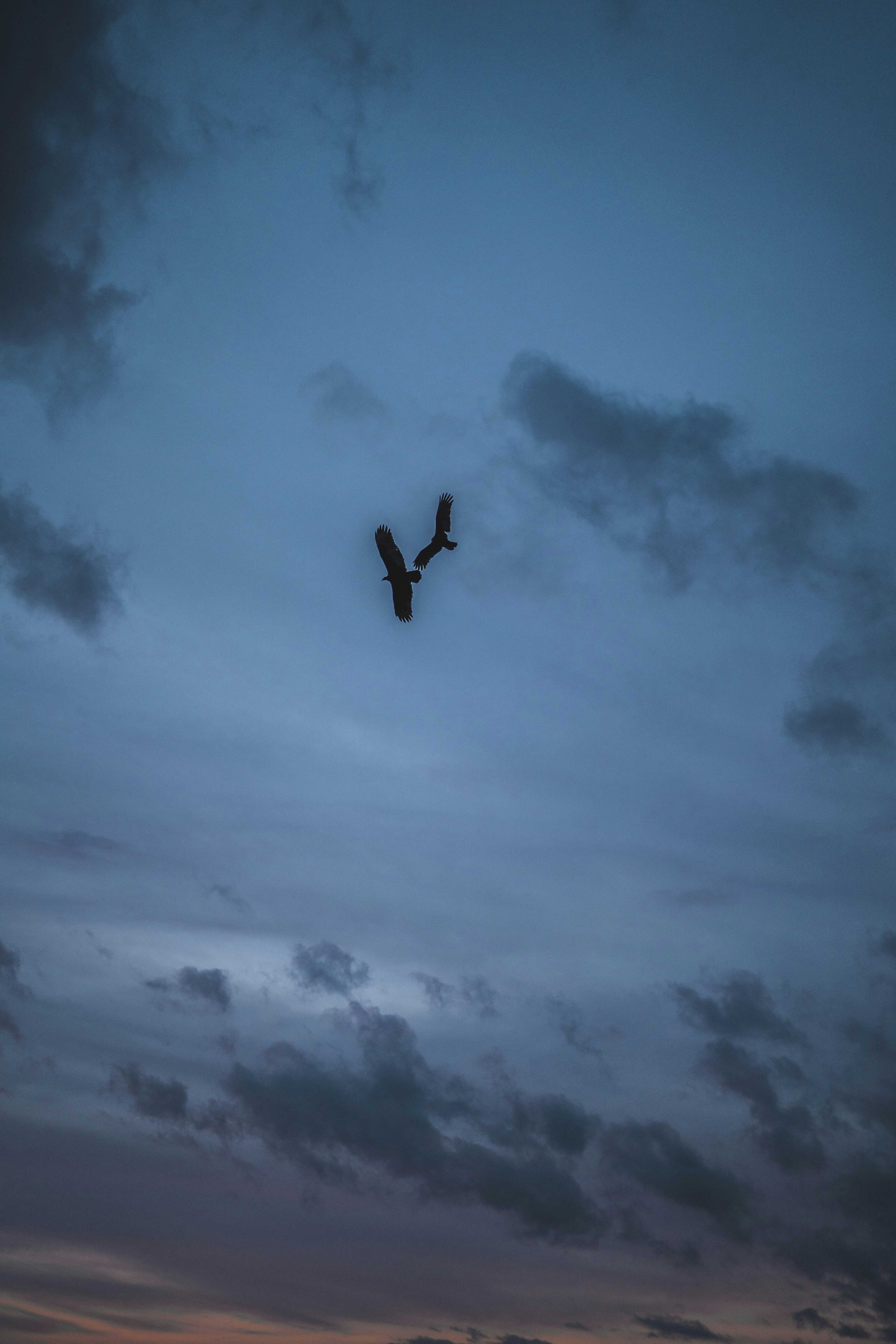 Twin Silhouettes Over a Dusky Sky