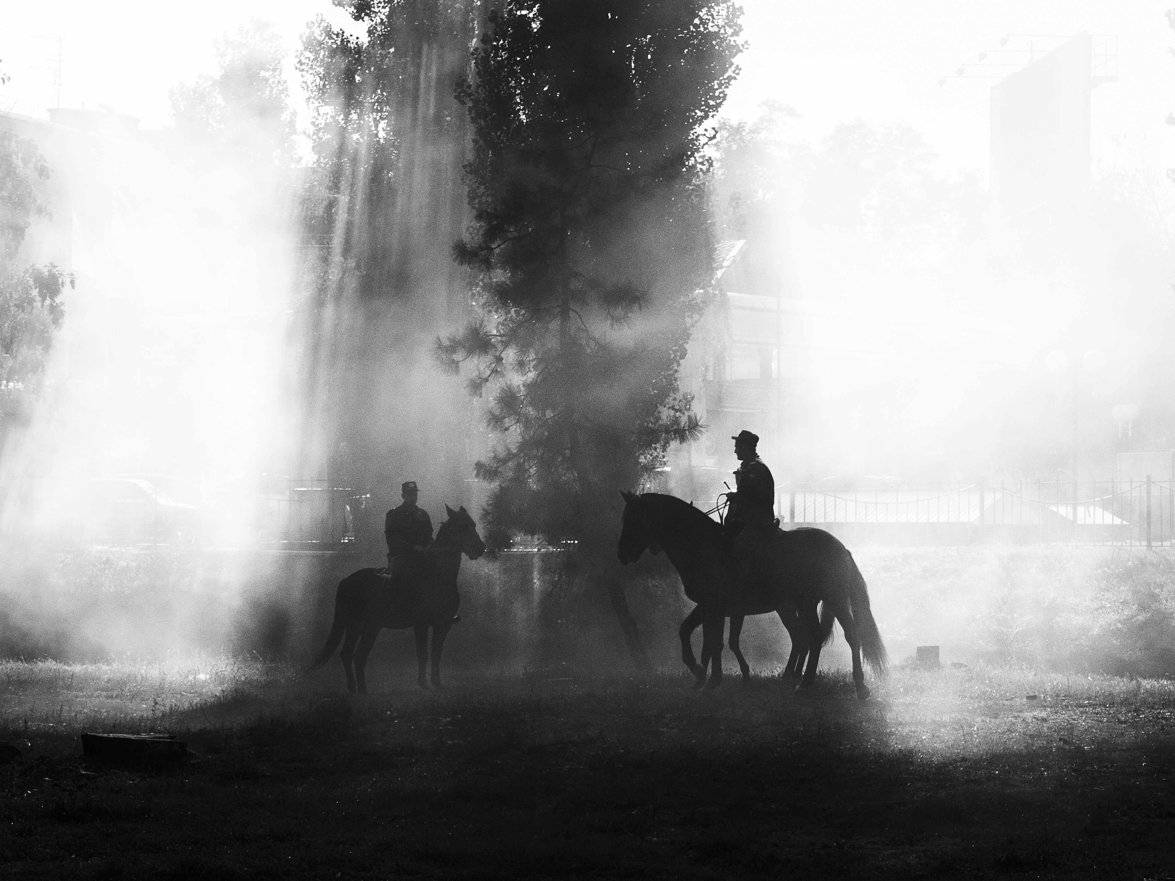 Riders in a Mist: silhouettes among the clearing haze