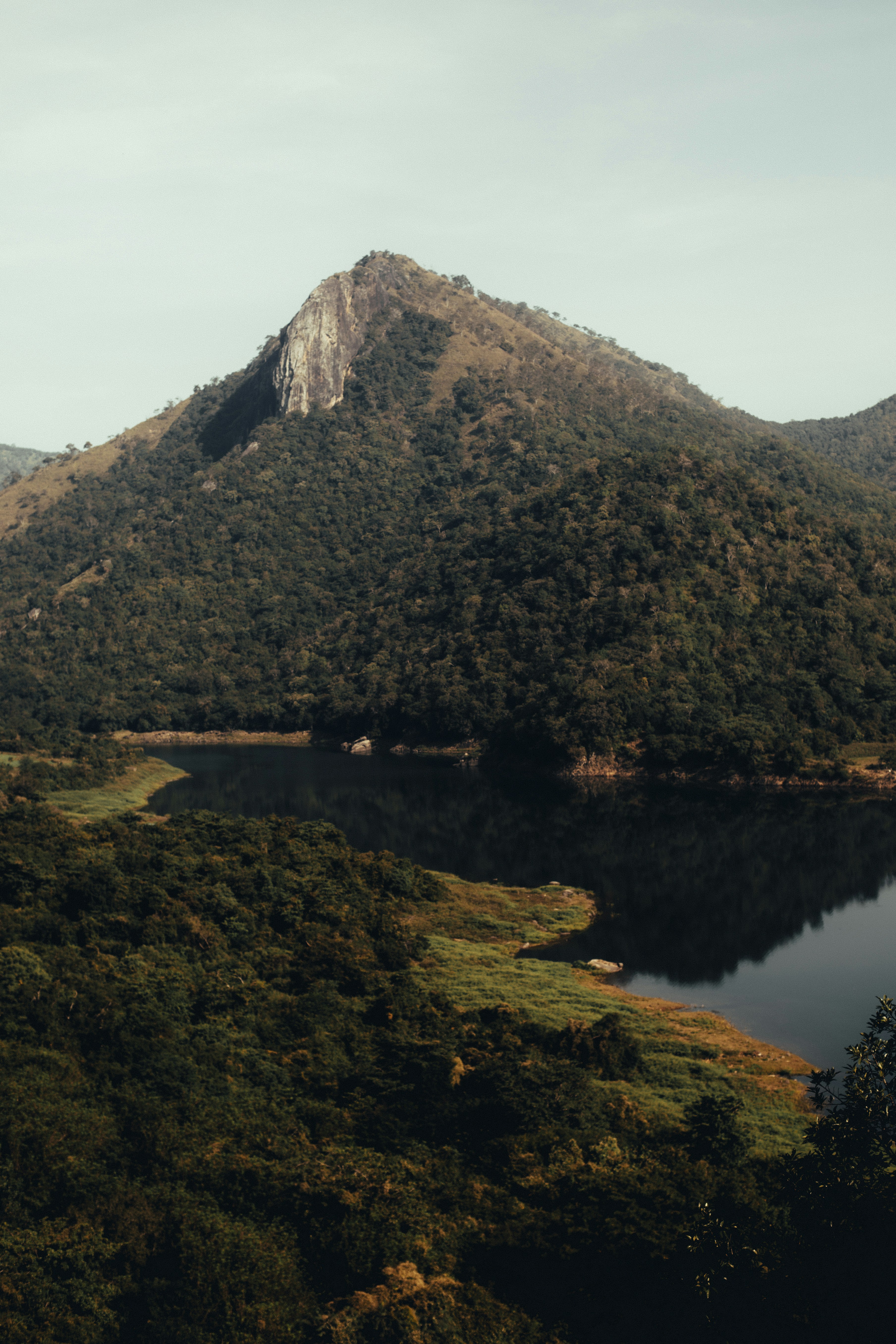 Unspalsh Pictures | Download Free Images on Unsplash