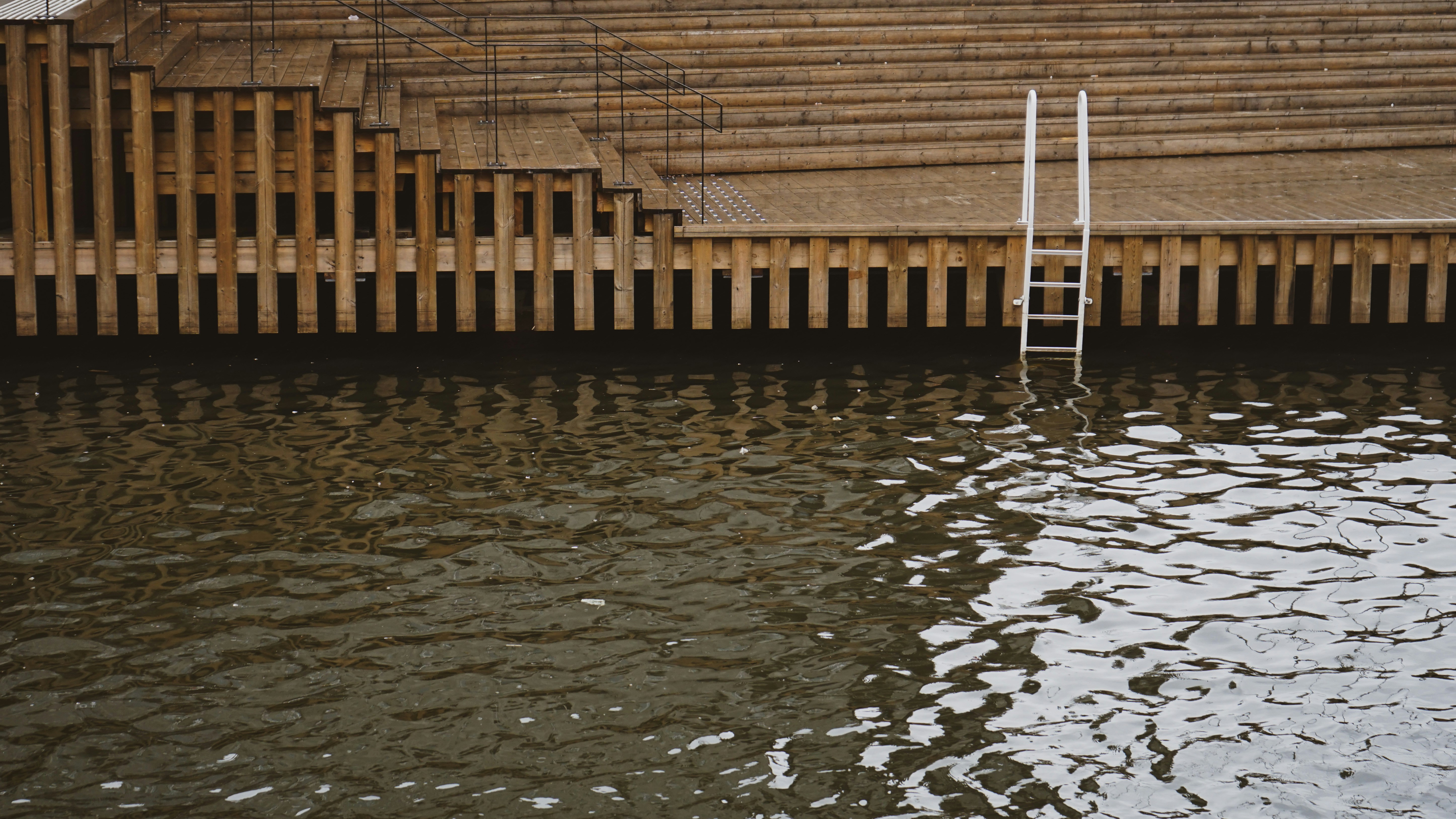 Ladder to the Dock: Quiet Ripples by the Wooden Pier