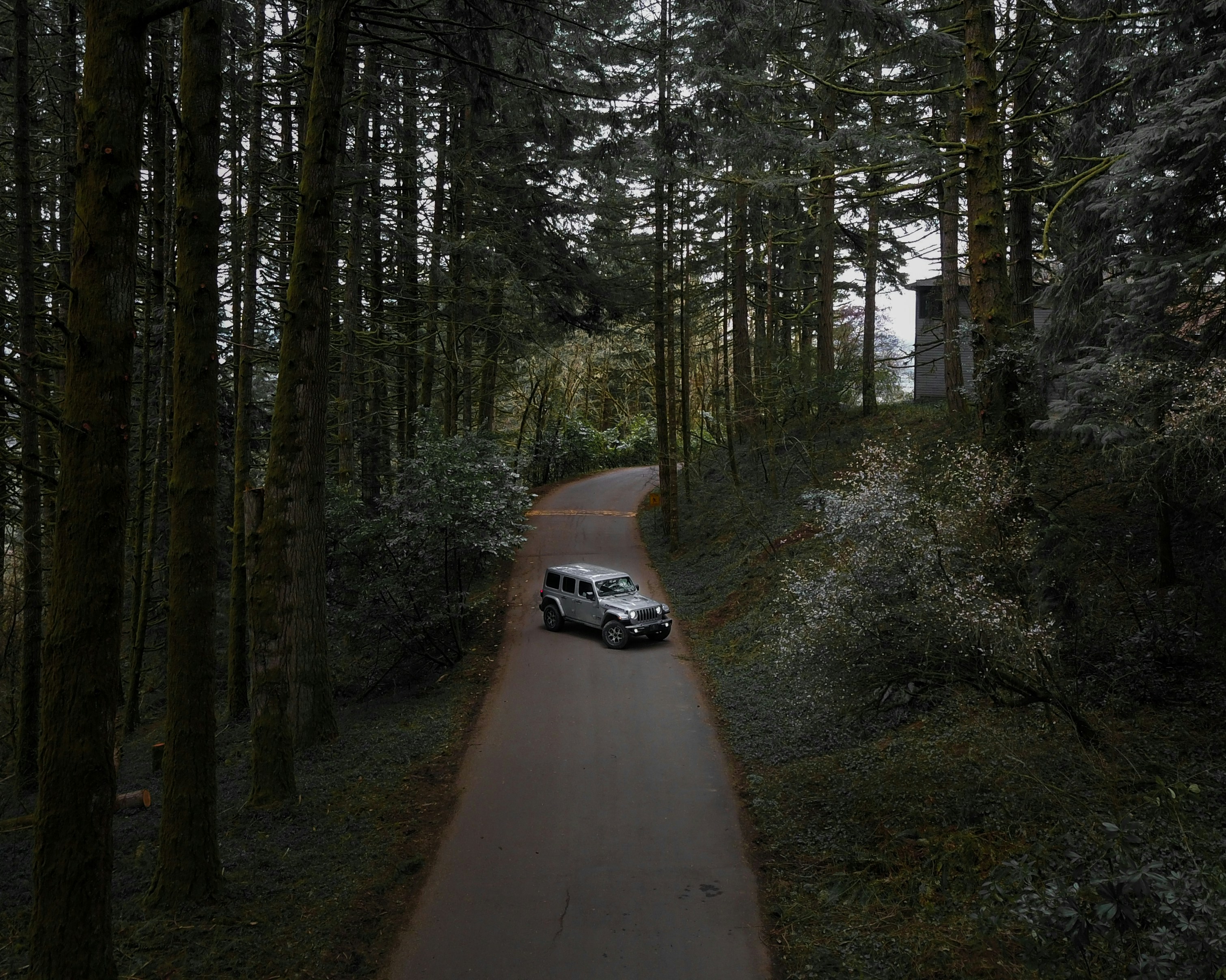 A silver SUV navigates a winding road surrounded by towering trees, with a quaint house peeking through the foliage. The scene captures a serene moment in nature.