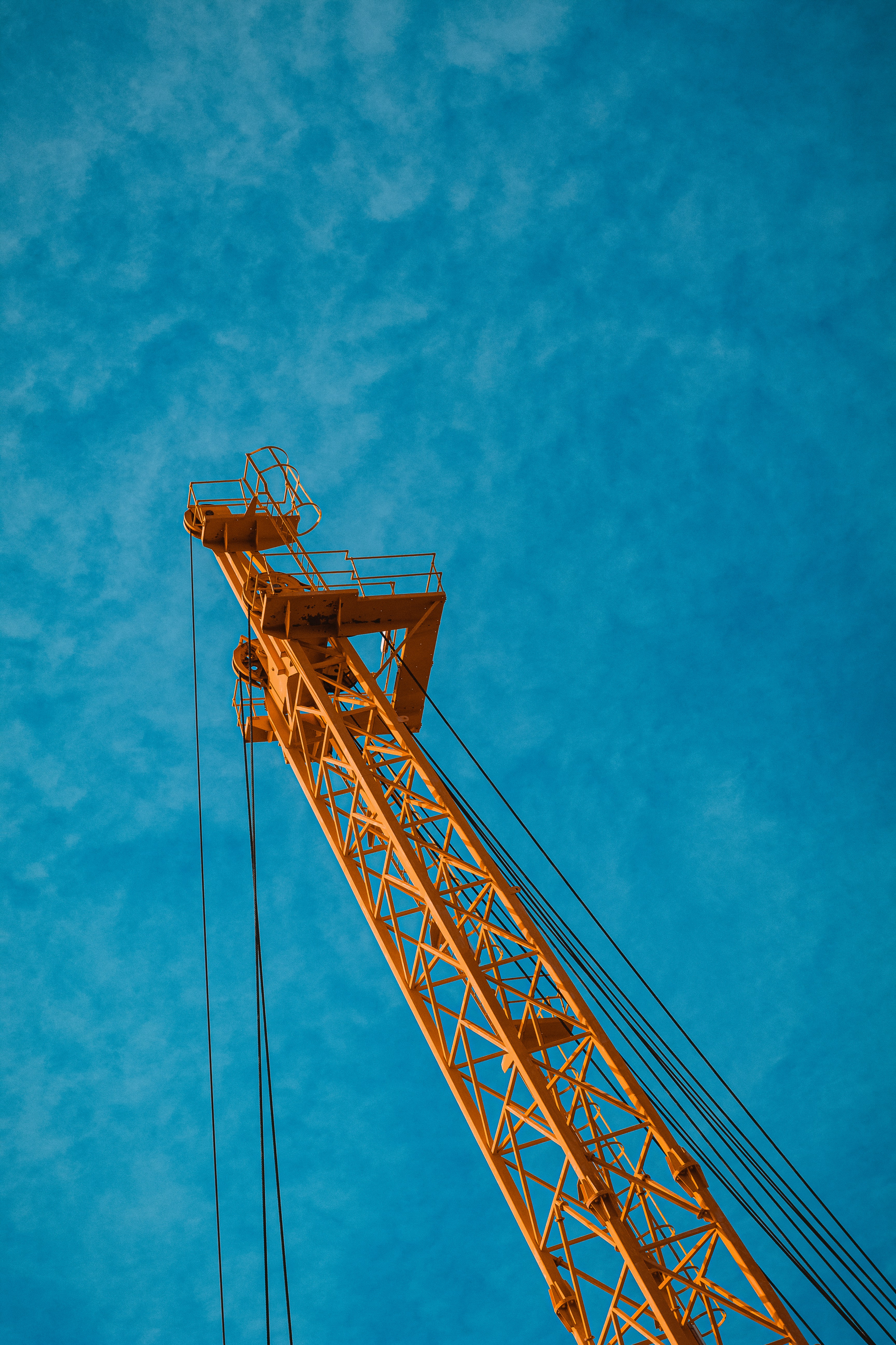 Photo by Jackson Allan with Canon EOS 4000D