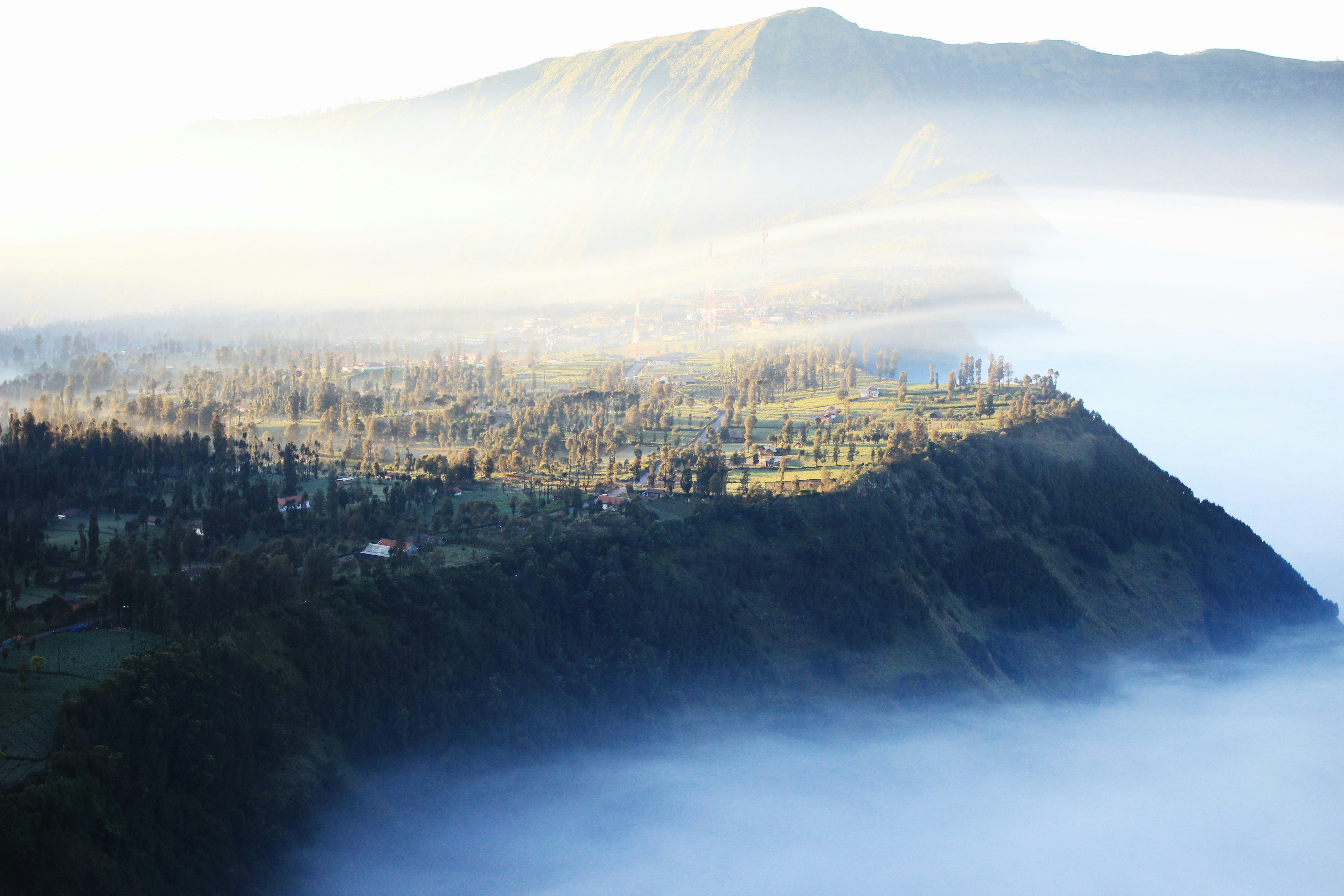 Aerial view of city buildings during daytime photo – Free Indonesia ...