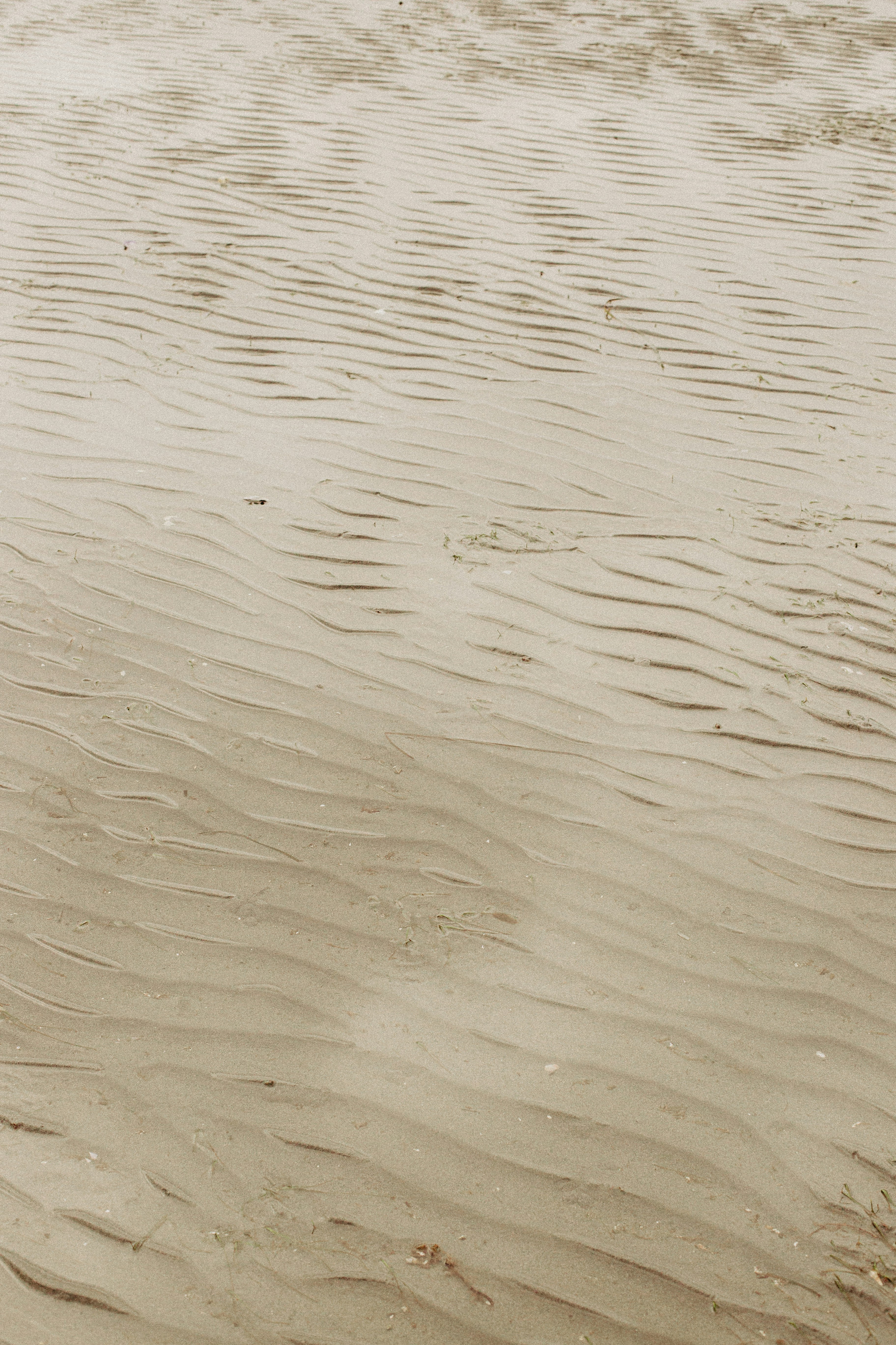 Photo by Priscilla Du Preez 🇨🇦 with Canon EOS 6D