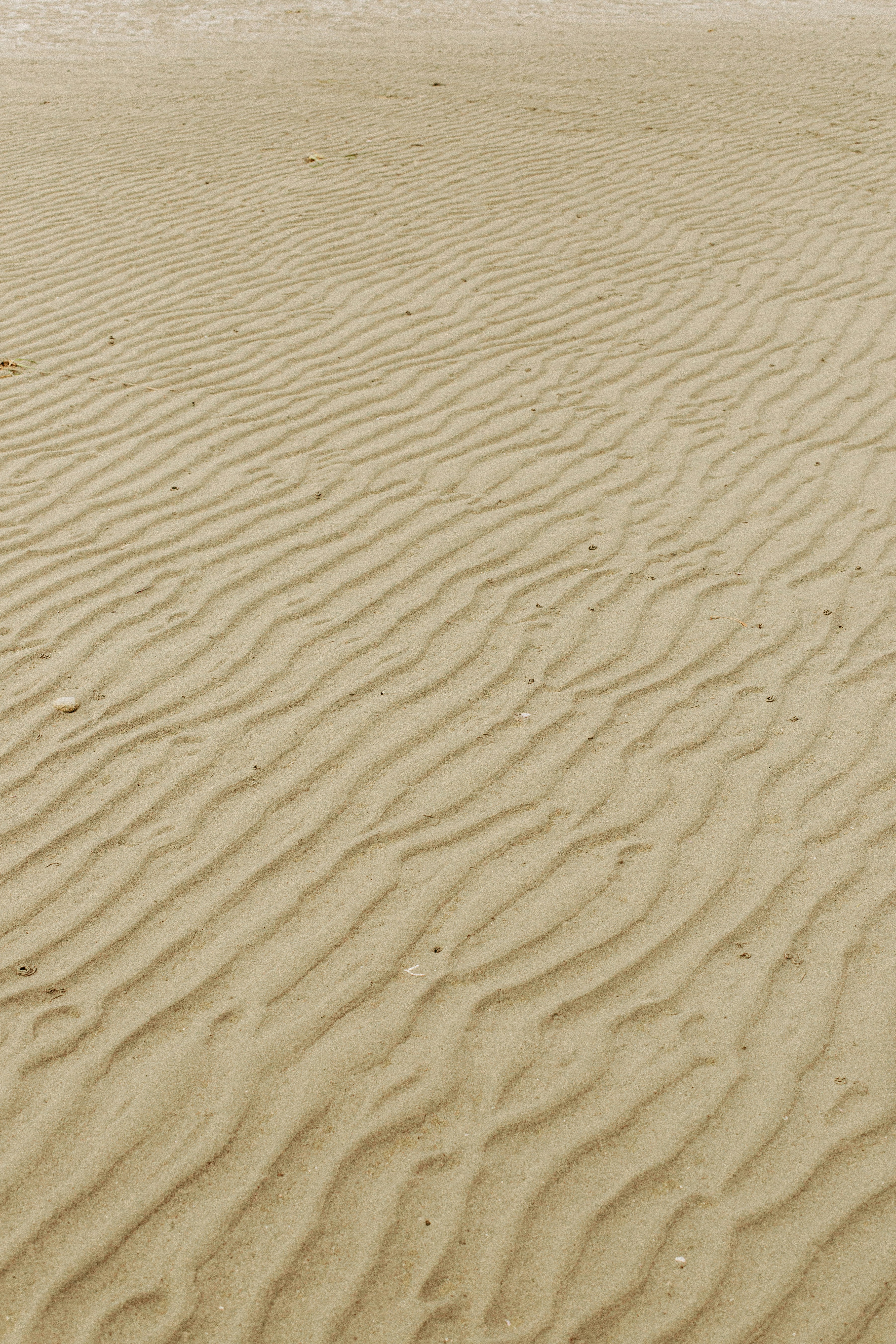 Foto zum Thema Weißer Sand mit braunem Sand – Kostenloses Bild zu Braun ...
