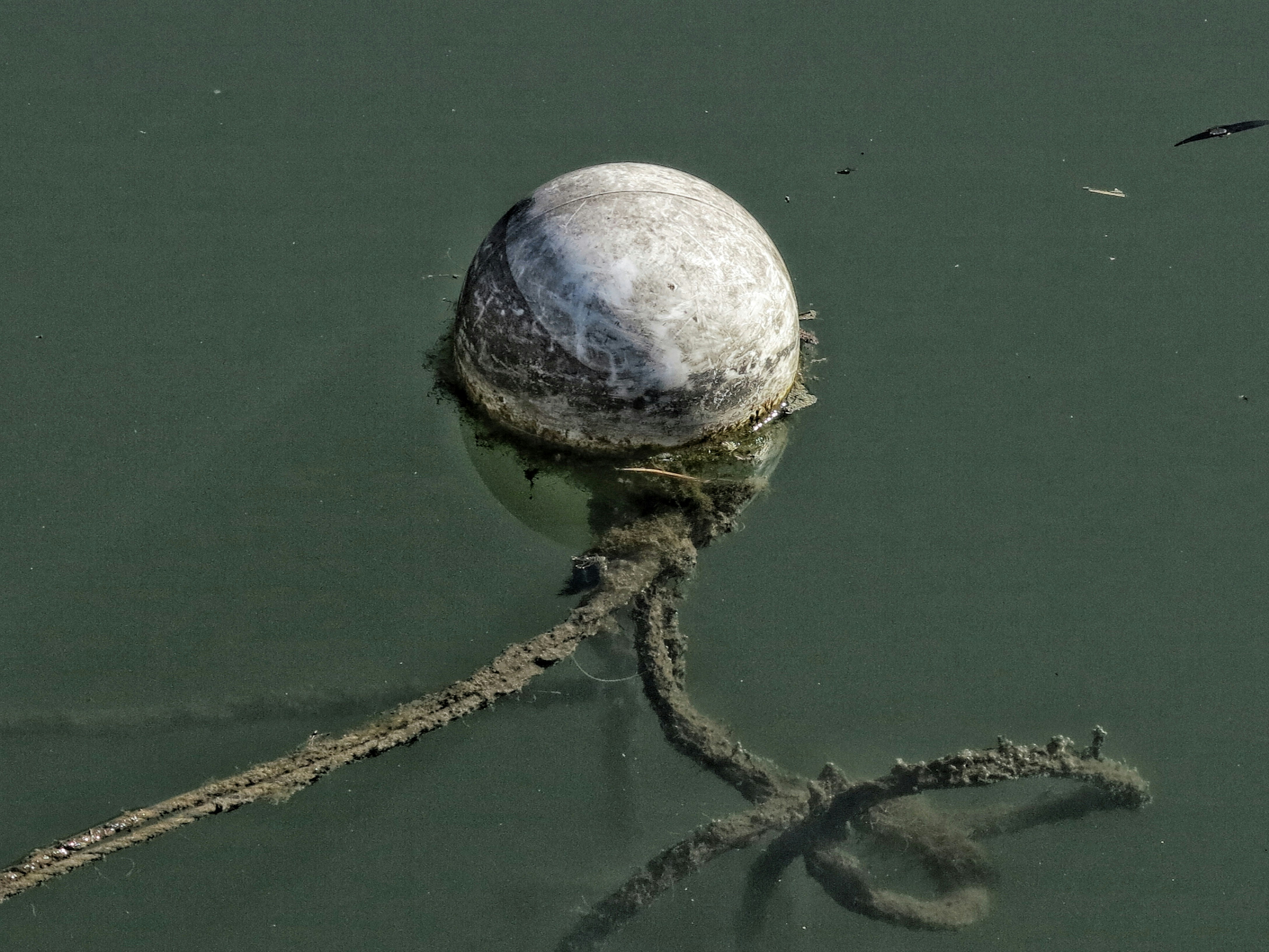 Weathered buoy floating serenely in a calm water body, tethered by a frayed line.