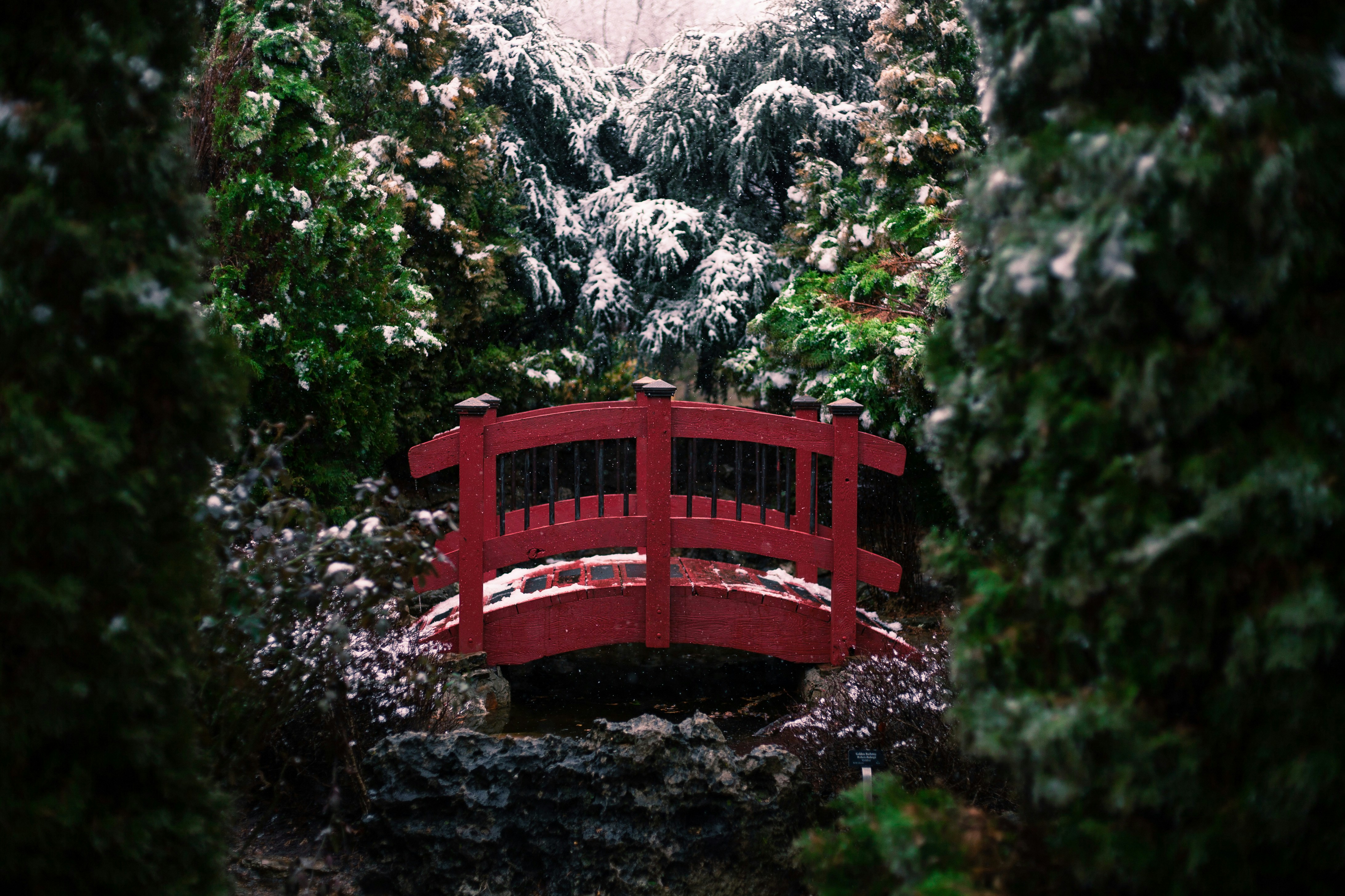 Crimson Bridge Framed by Snow-Dusted Evergreens