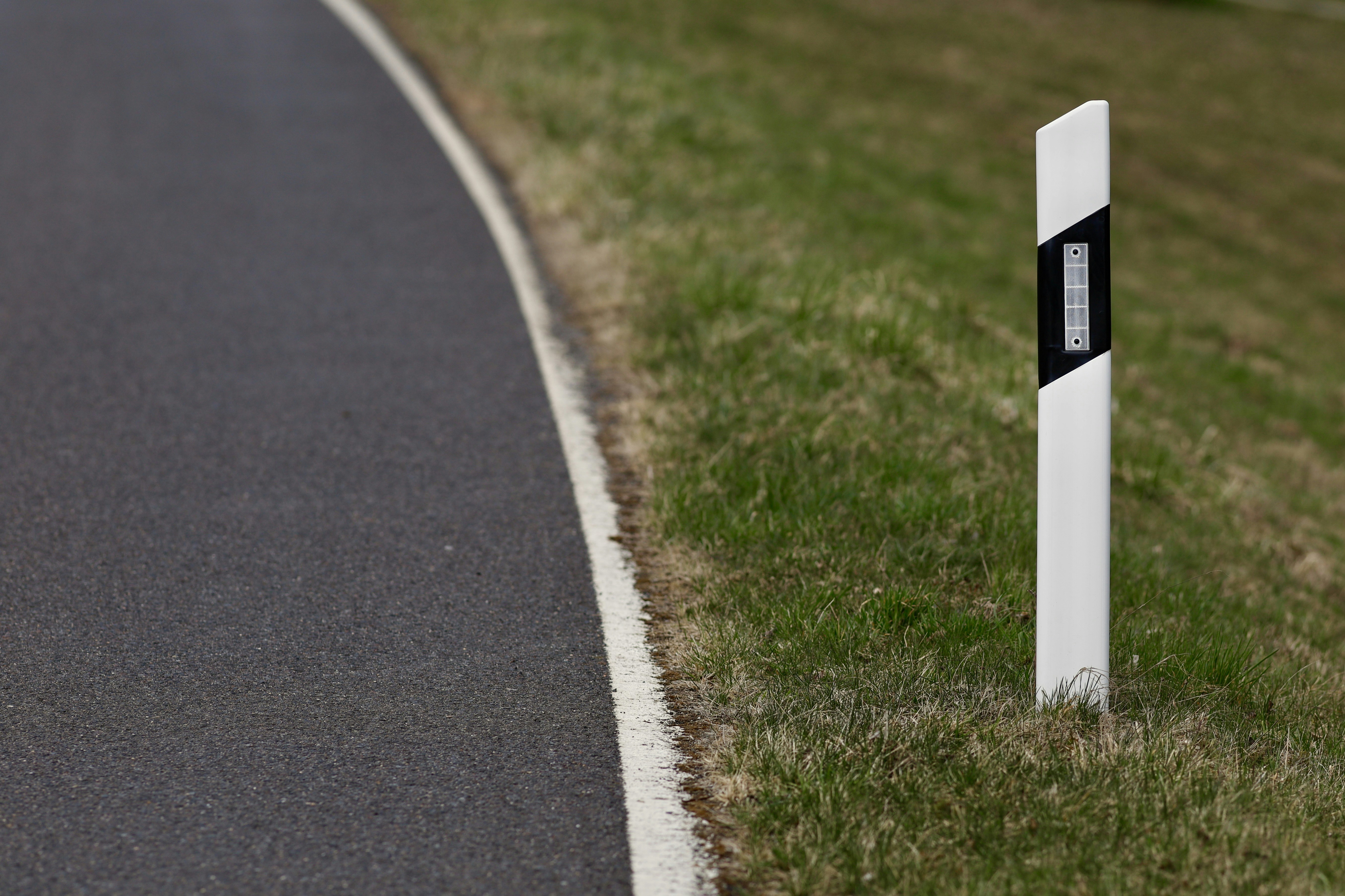 White Sentinel at the Curve: A Quiet Boundary by the Road