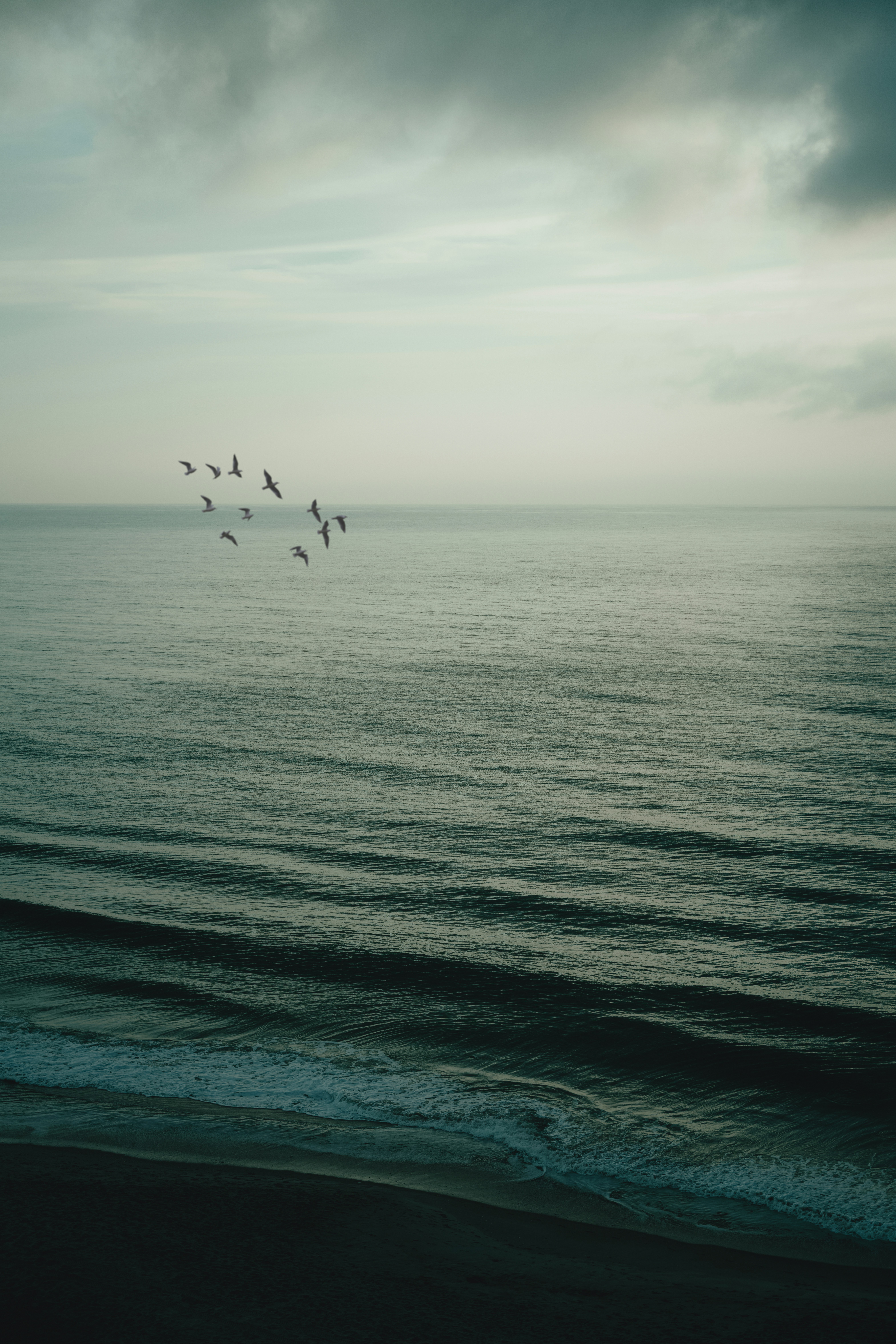Migrating V-formation over the quiet horizon