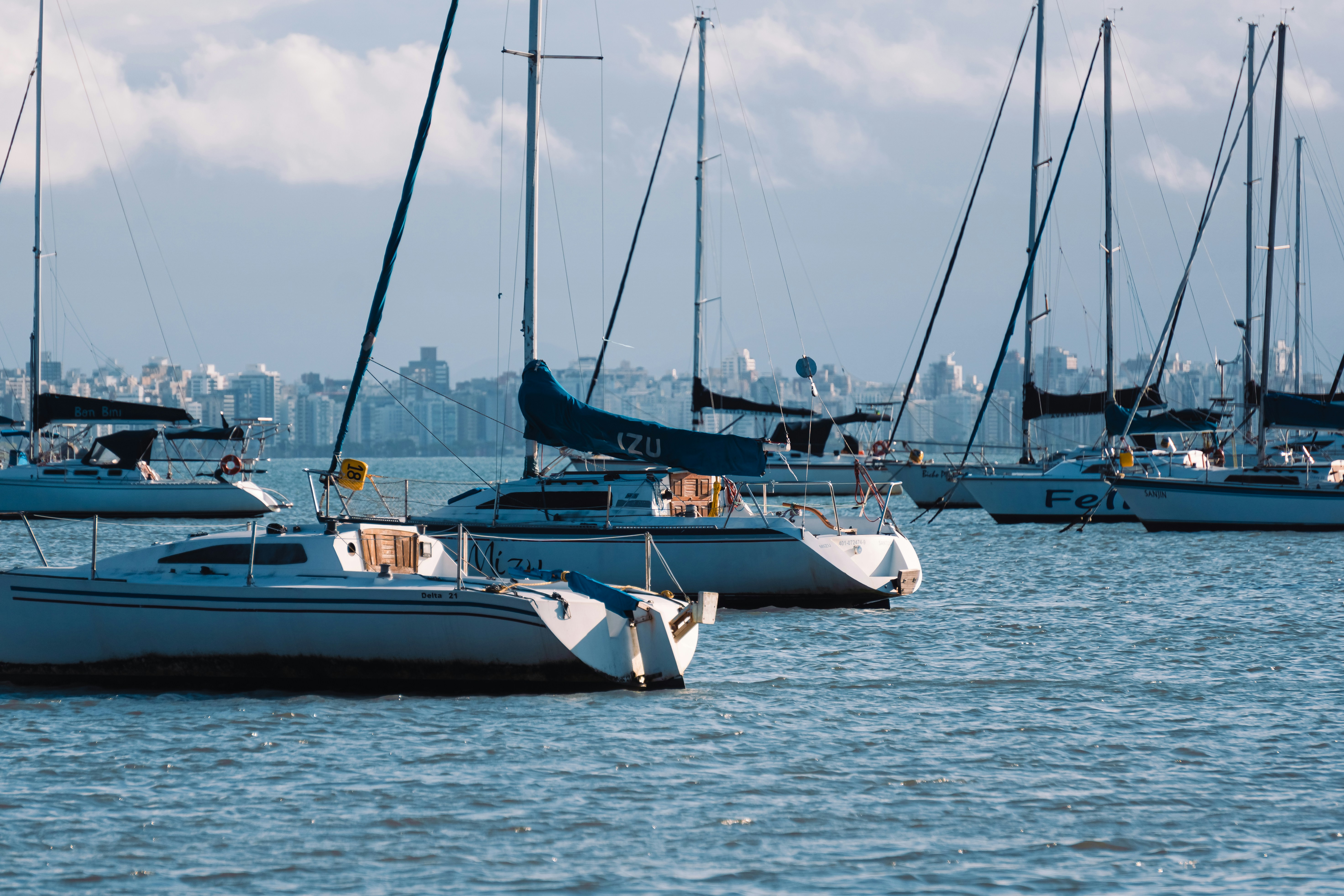 Sailboats anchored in calm waters with a distant city skyline under a clear sky. The scene conveys tranquility and the essence of maritime life.