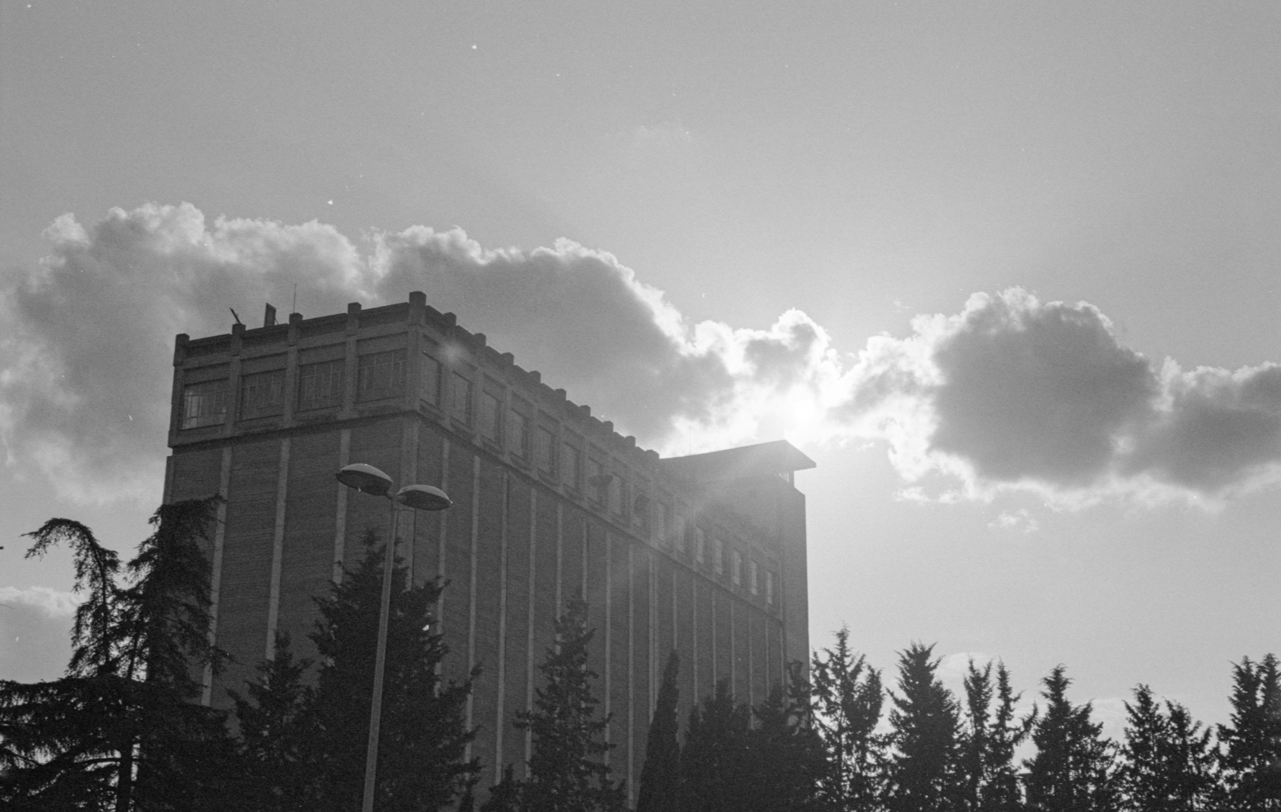 Sunburst Halo Over a Brick Industrial Tower Framed by Pines