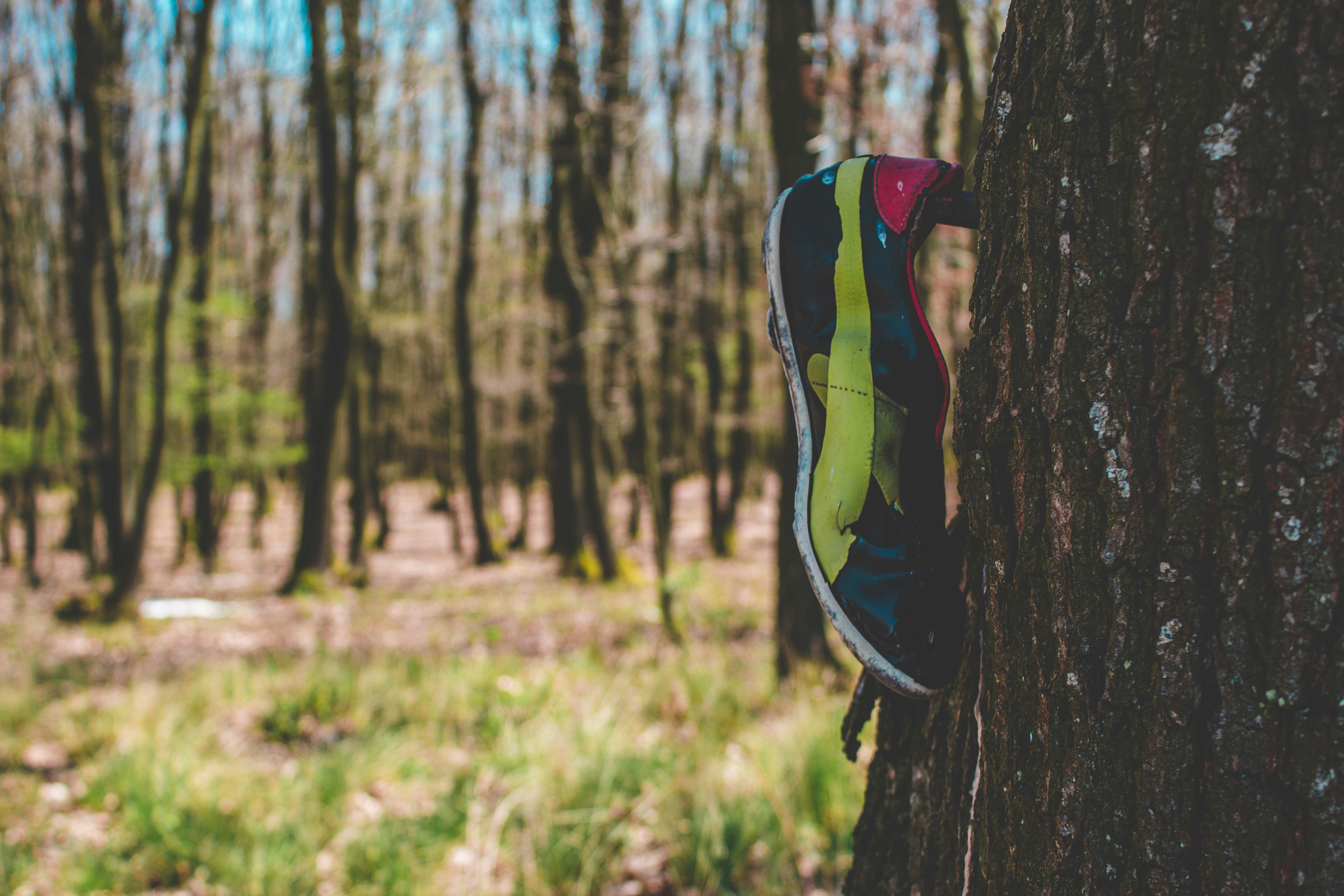 Green and black nike shoe on brown tree trunk photo – Free Conceptual ...