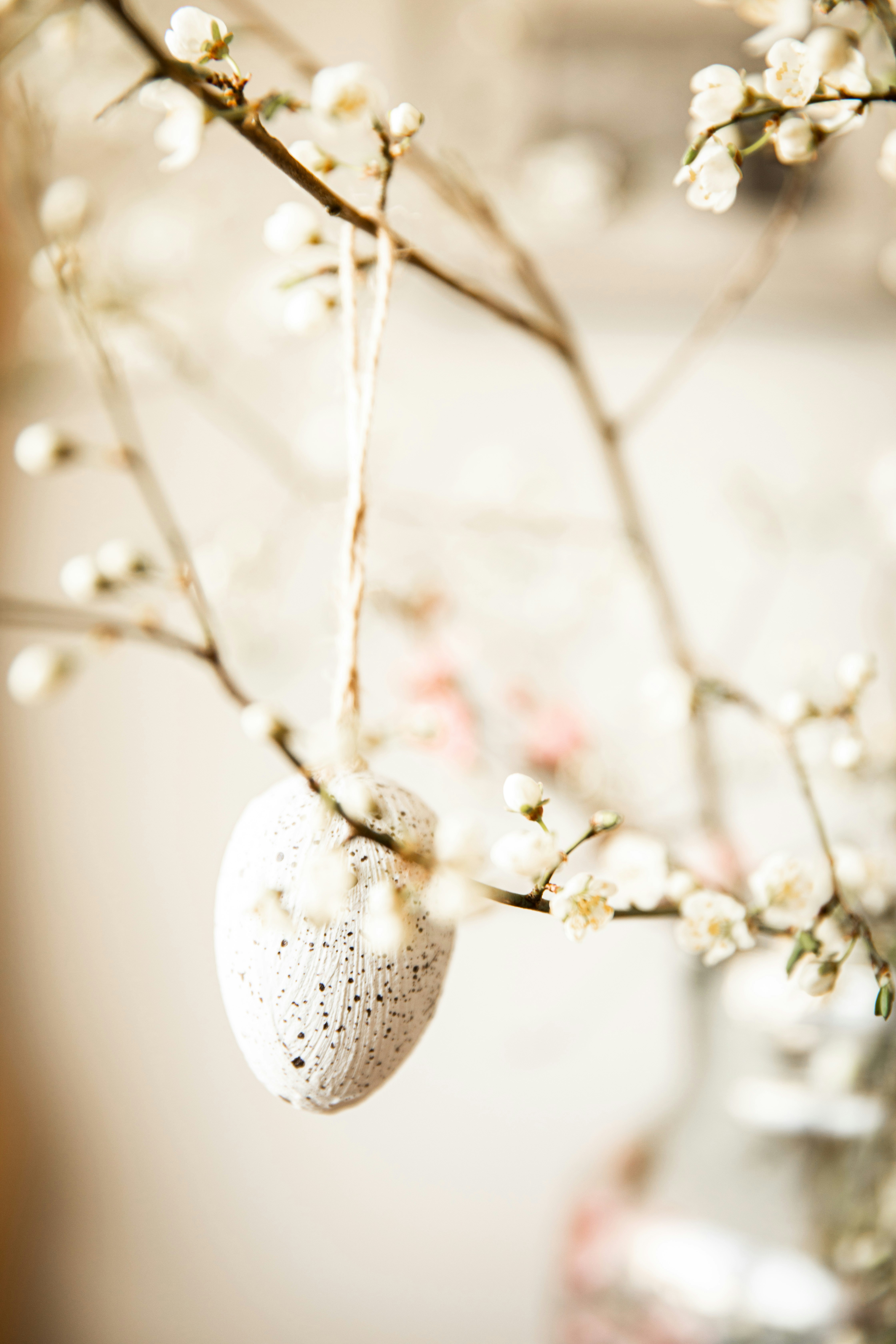 A white speckled egg hangs from a branch adorned with small blossoms, symbolizing new beginnings. The soft focus background enhances the serene atmosphere.