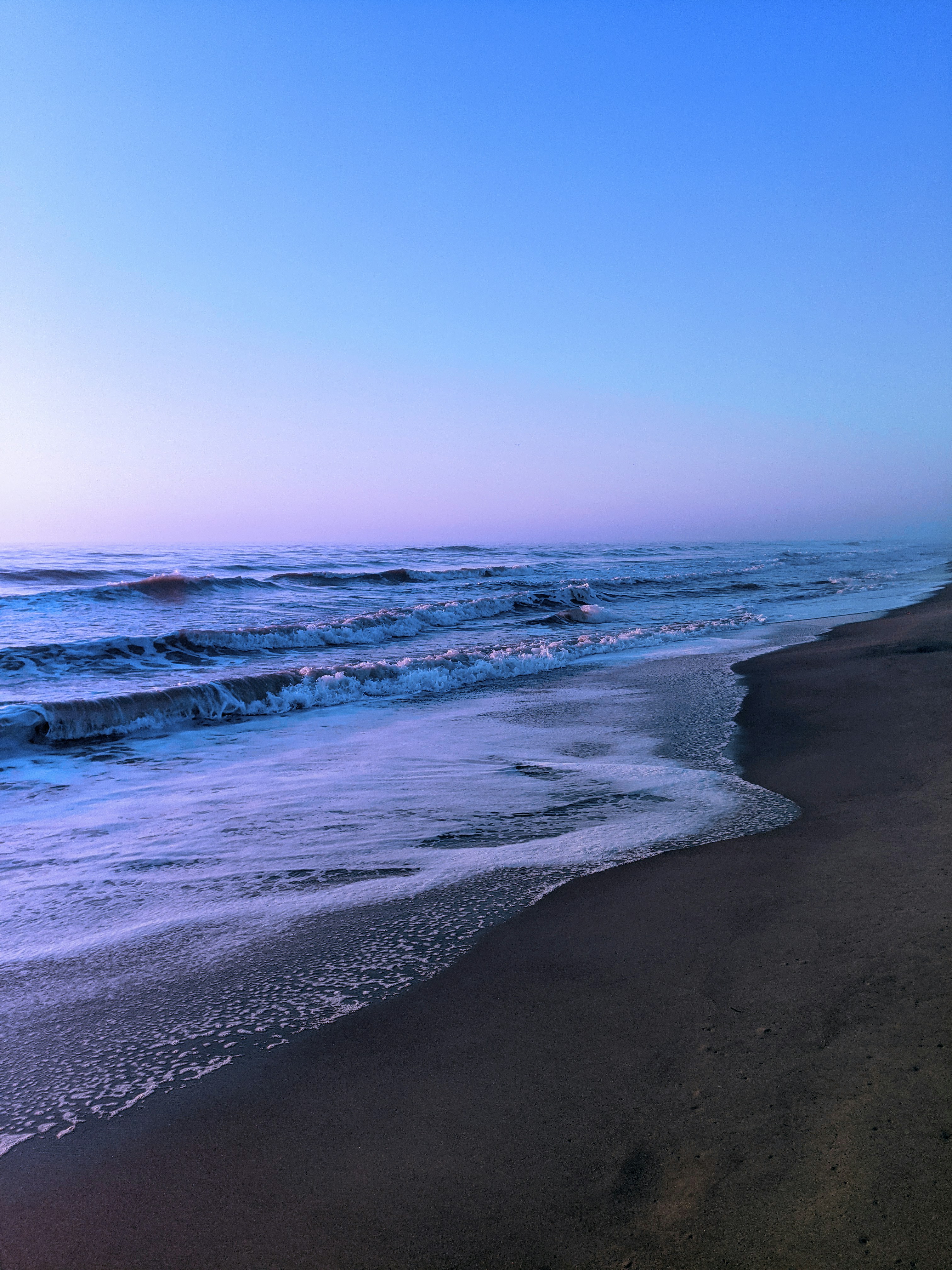 Susan Jones (@florian_jack_designs) | Unsplash Photo Community