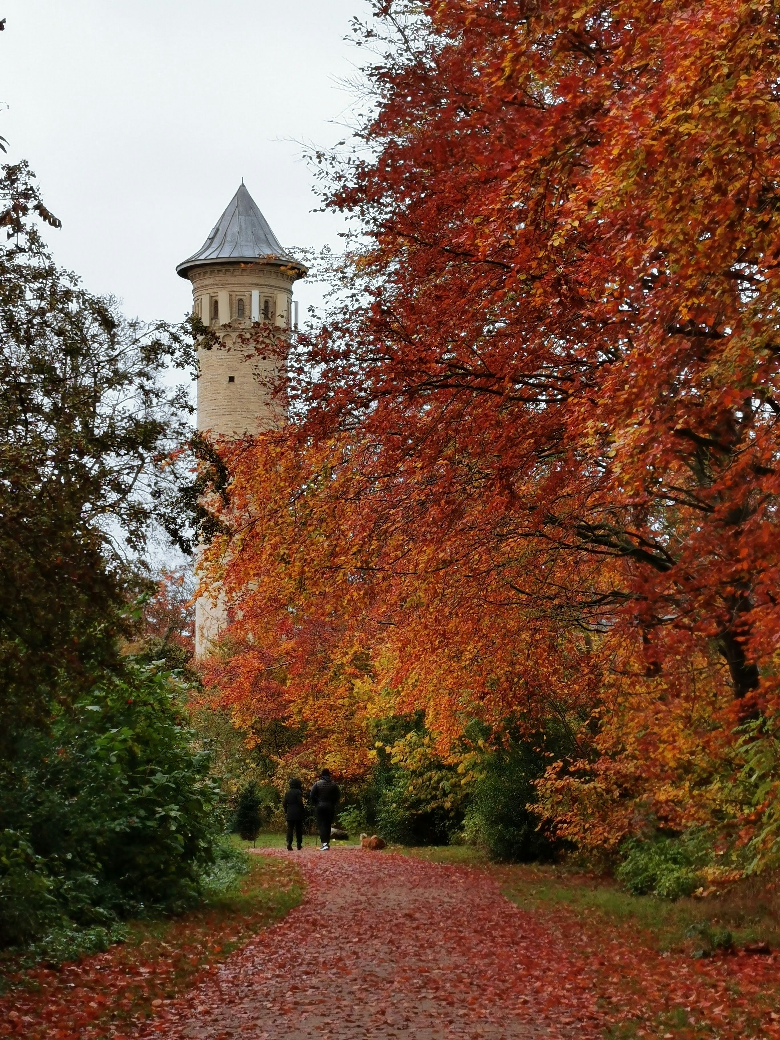 A historic tower rises above a path lined with vibrant autumn leaves, inviting walkers to explore the scenic beauty of the season.