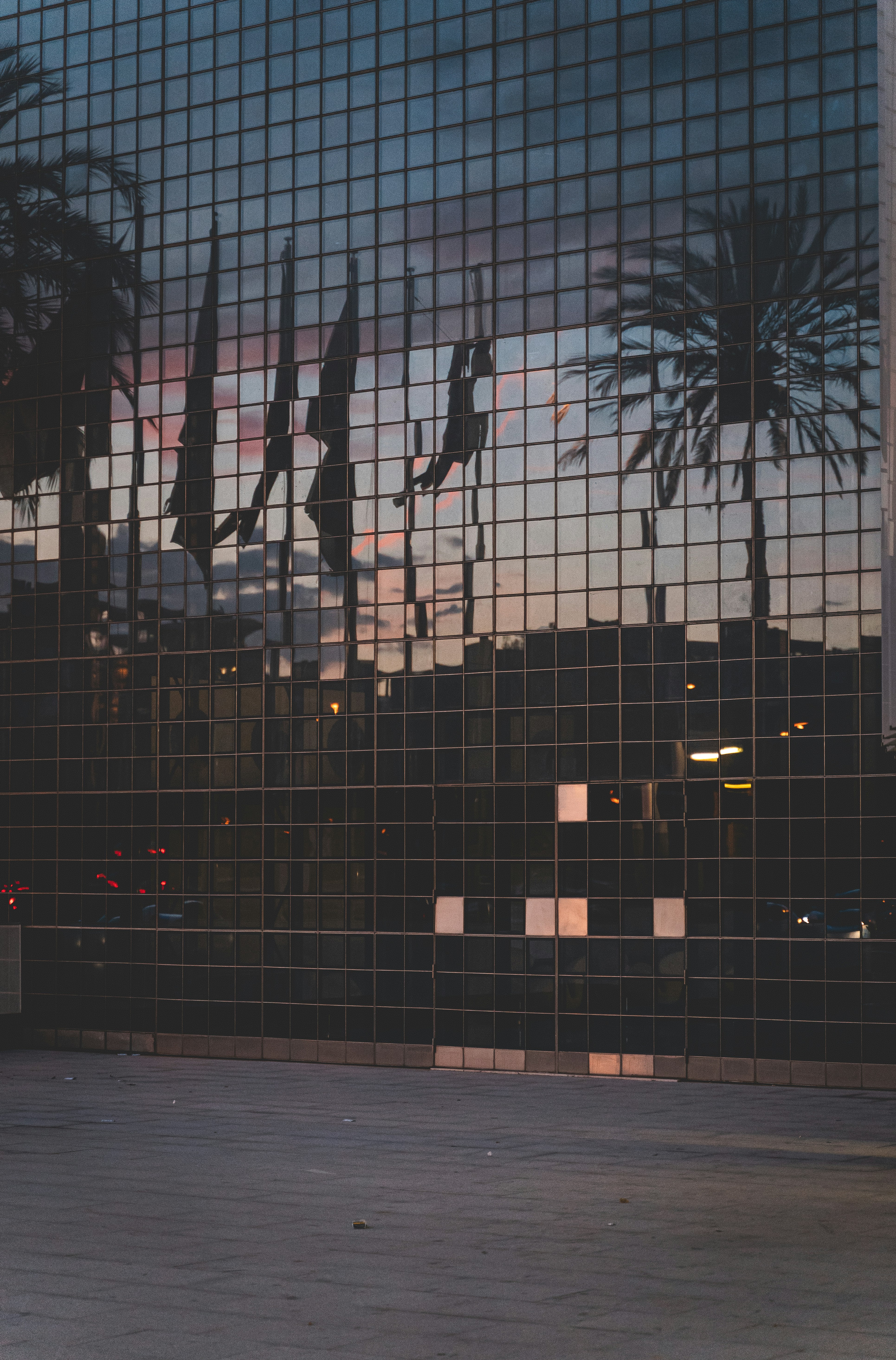Reflection Mosaic: Palm Silhouettes Across a Glass Facade at Dusk