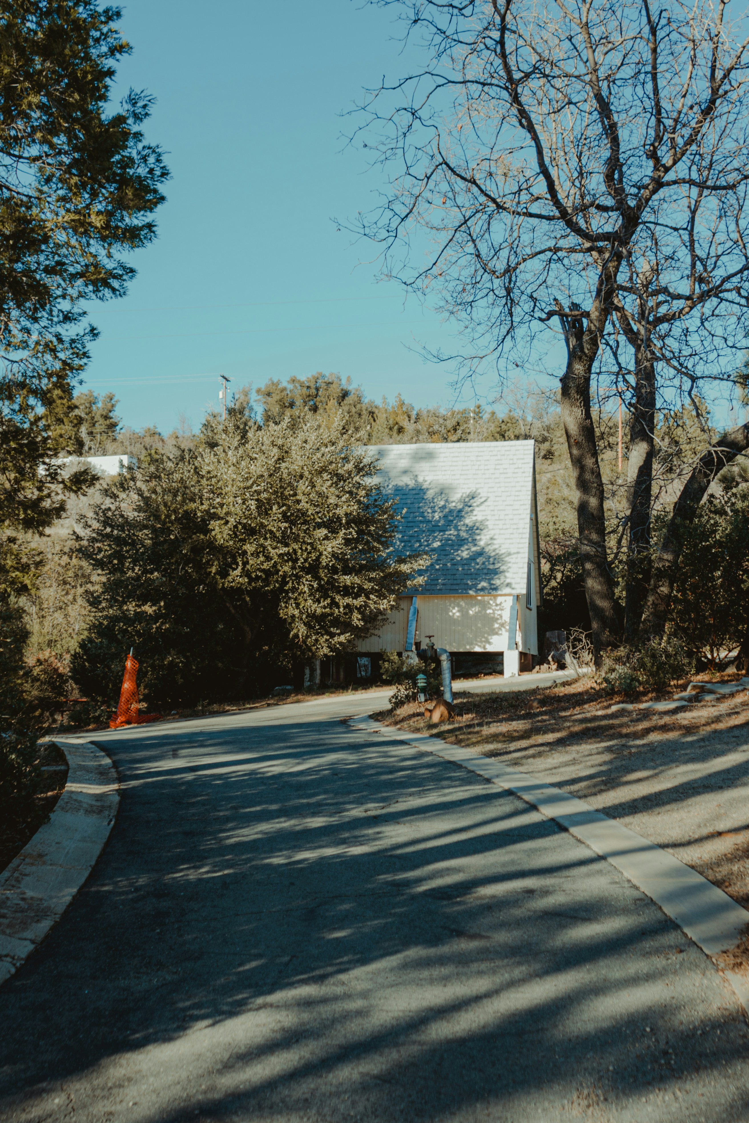 Curved Drive to a Quiet White Building Framed by Dappled Trees