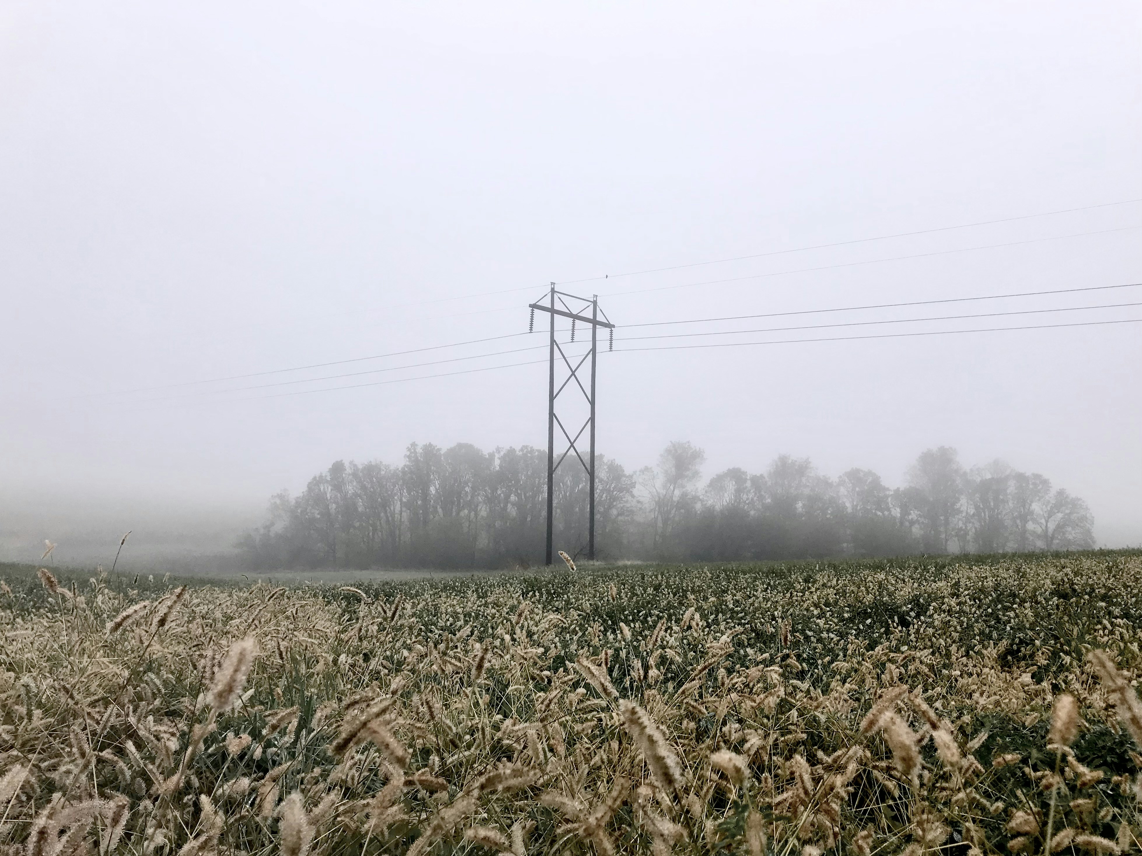 Green grass field under white sky during daytime photo – Free Iowa ...