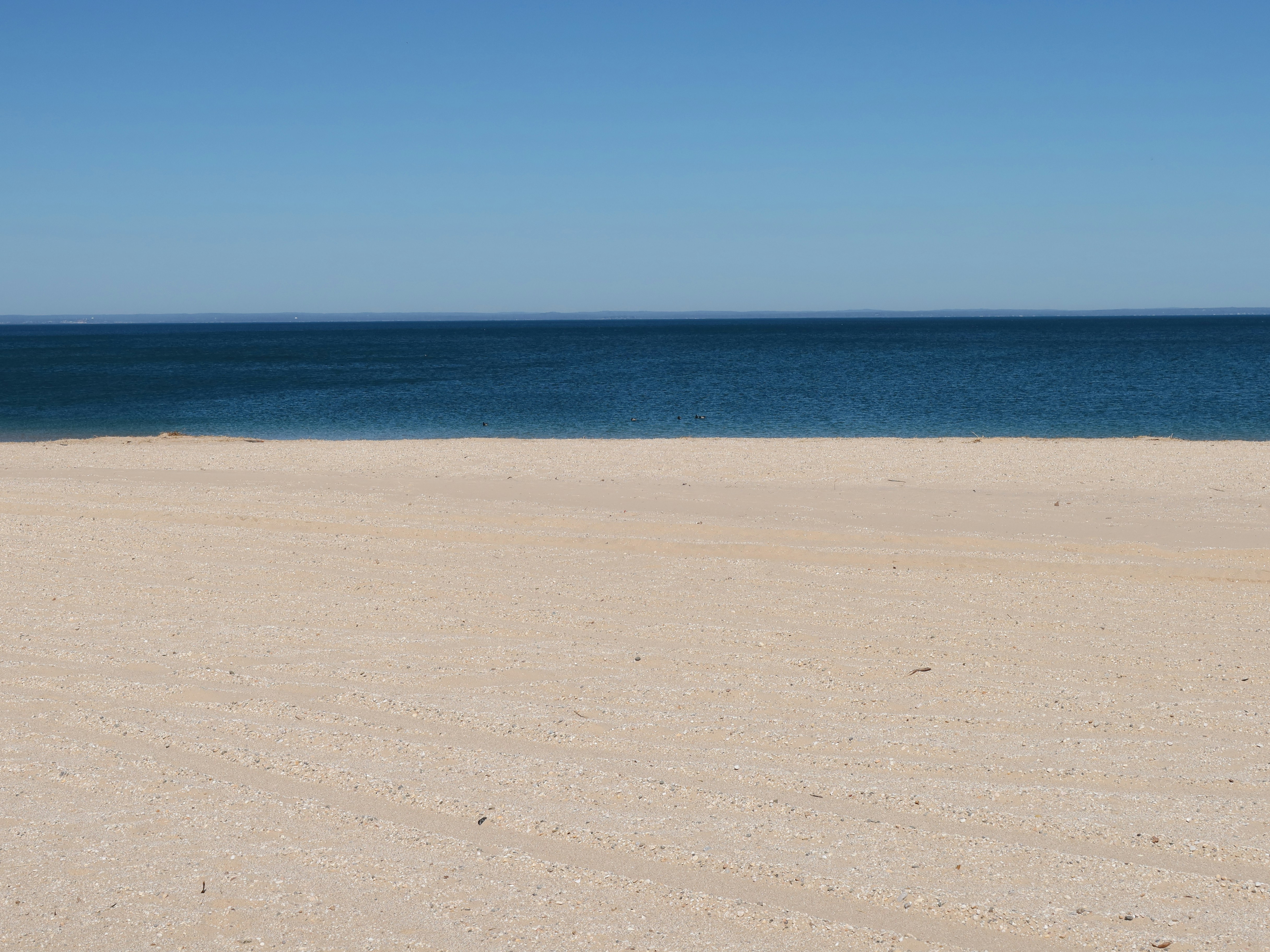 Expansive sandy beach meets calm blue waters under a clear sky, evoking tranquility and peace.