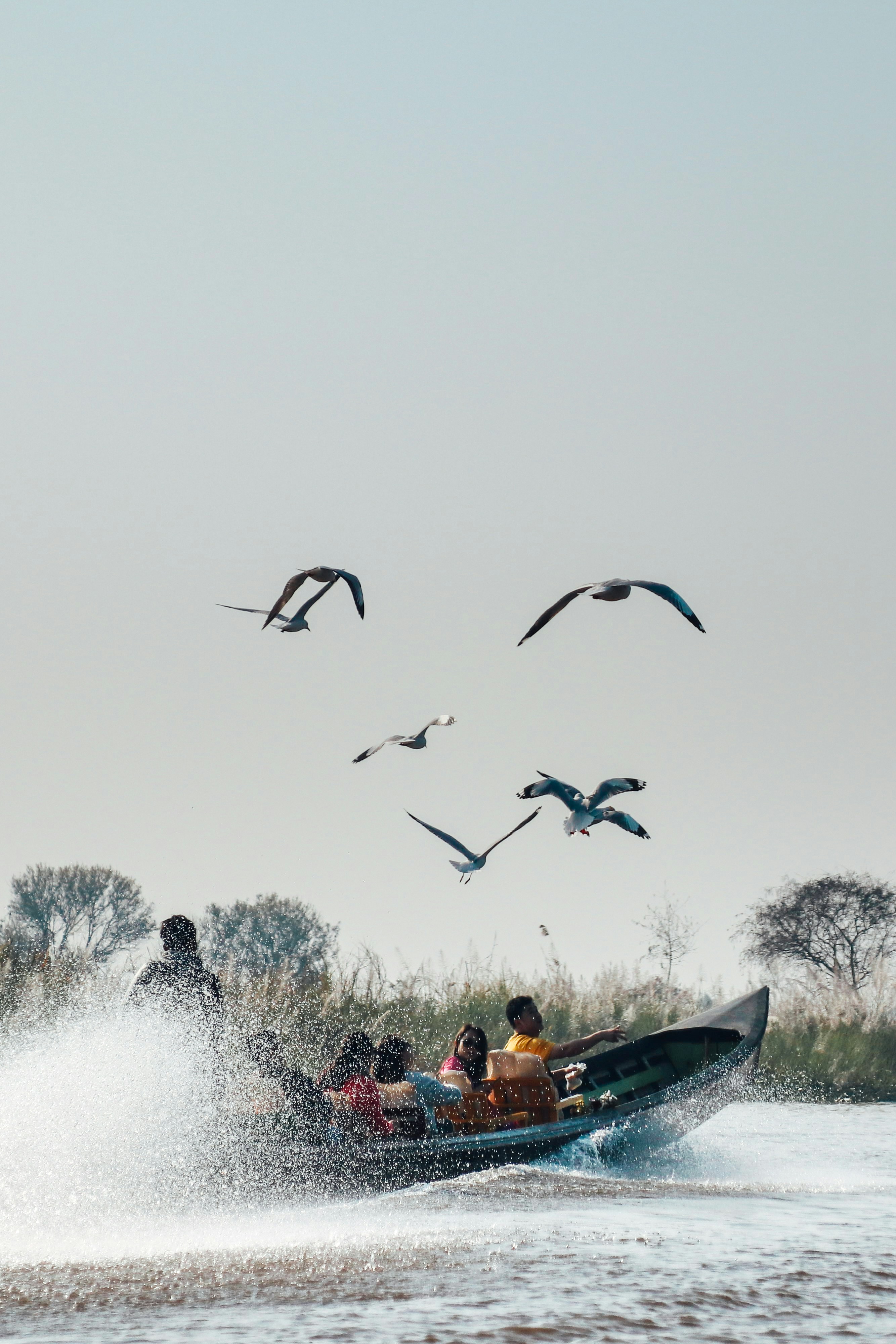 Foto Personas que viajan en barco durante el día – Imagen Lago Inle ...