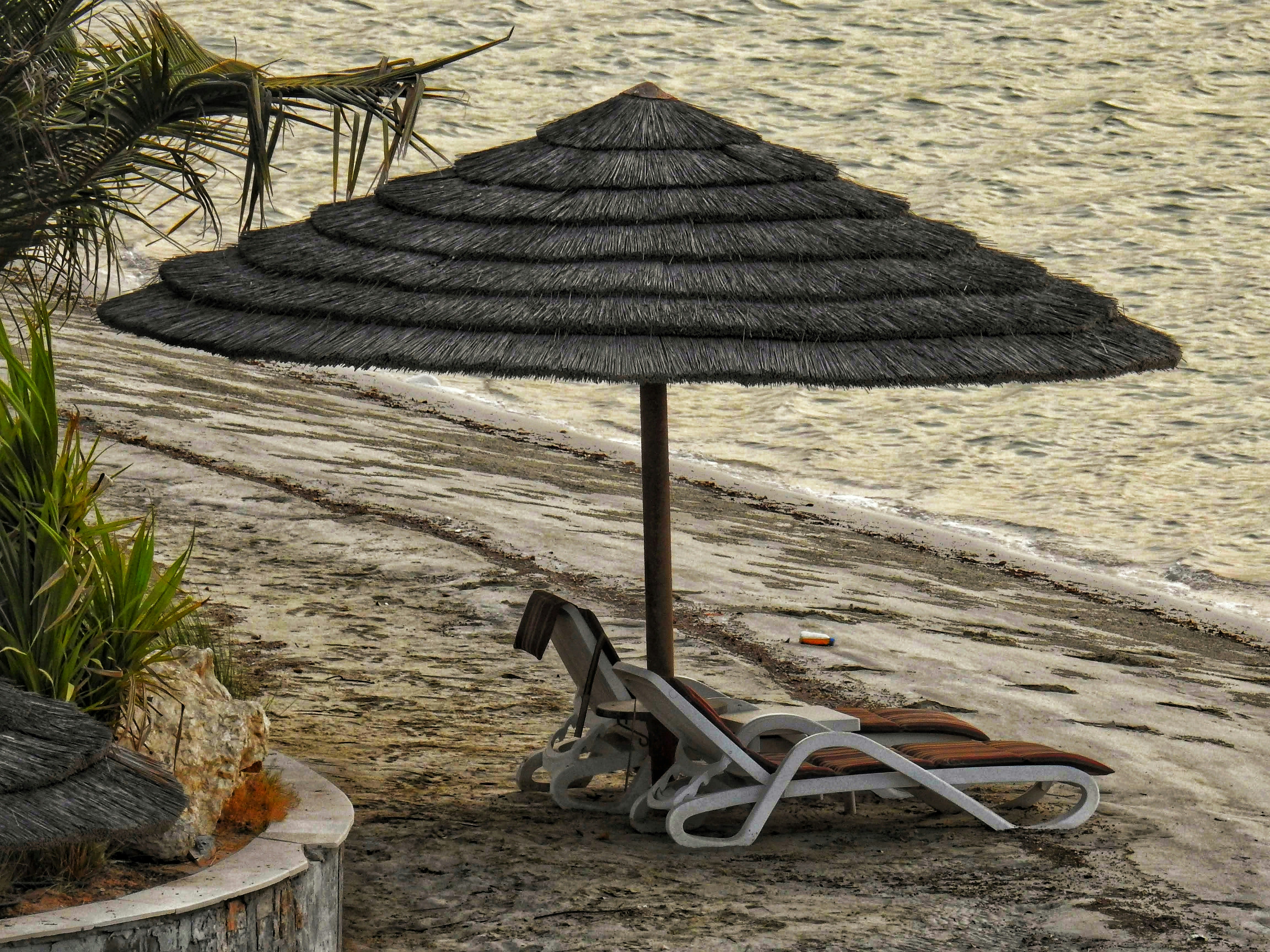 Thatched Canopy Framing a Quiet Seaside Lounge