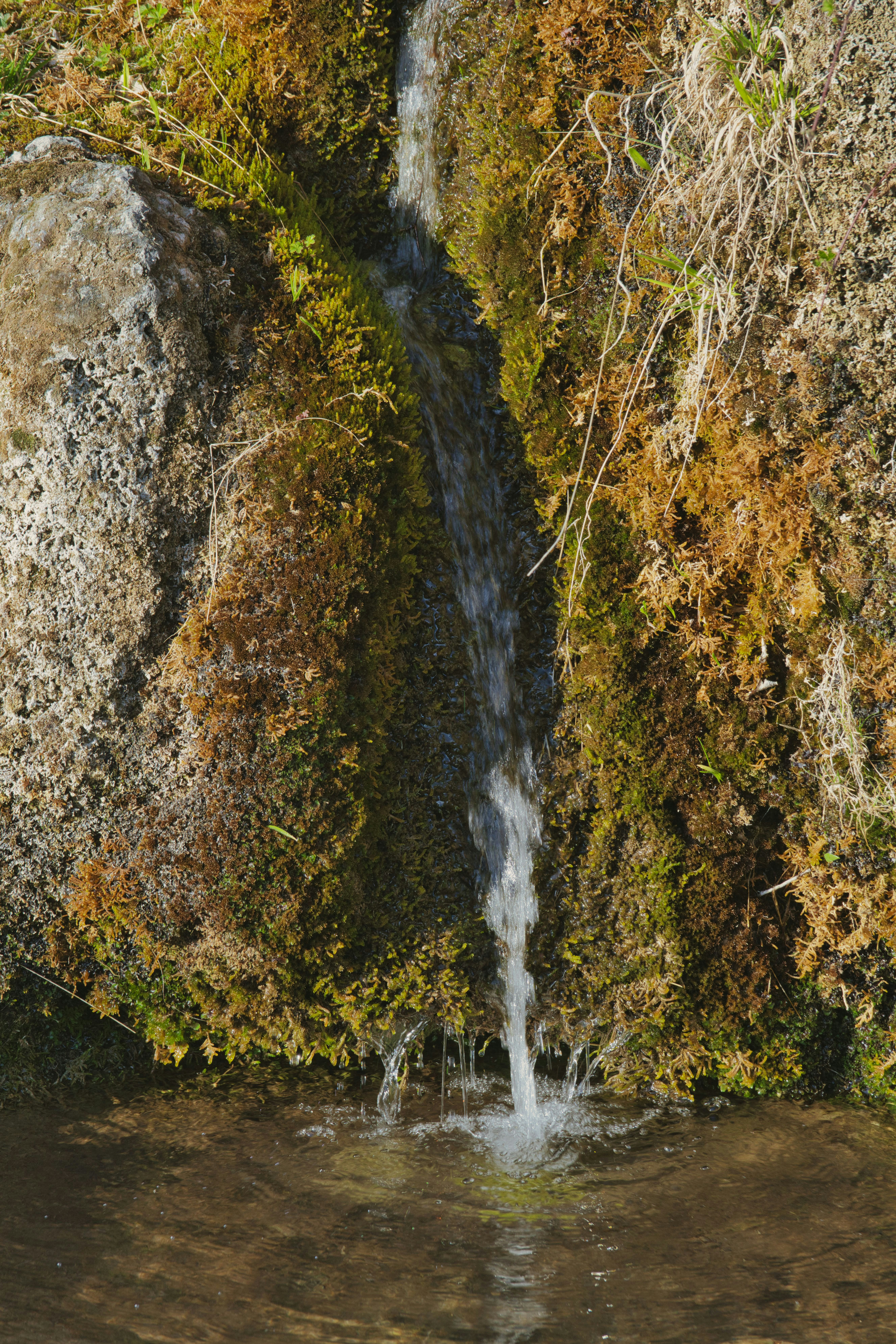 Gentle water trickles down moss-covered rocks, creating a serene atmosphere by the water's edge.