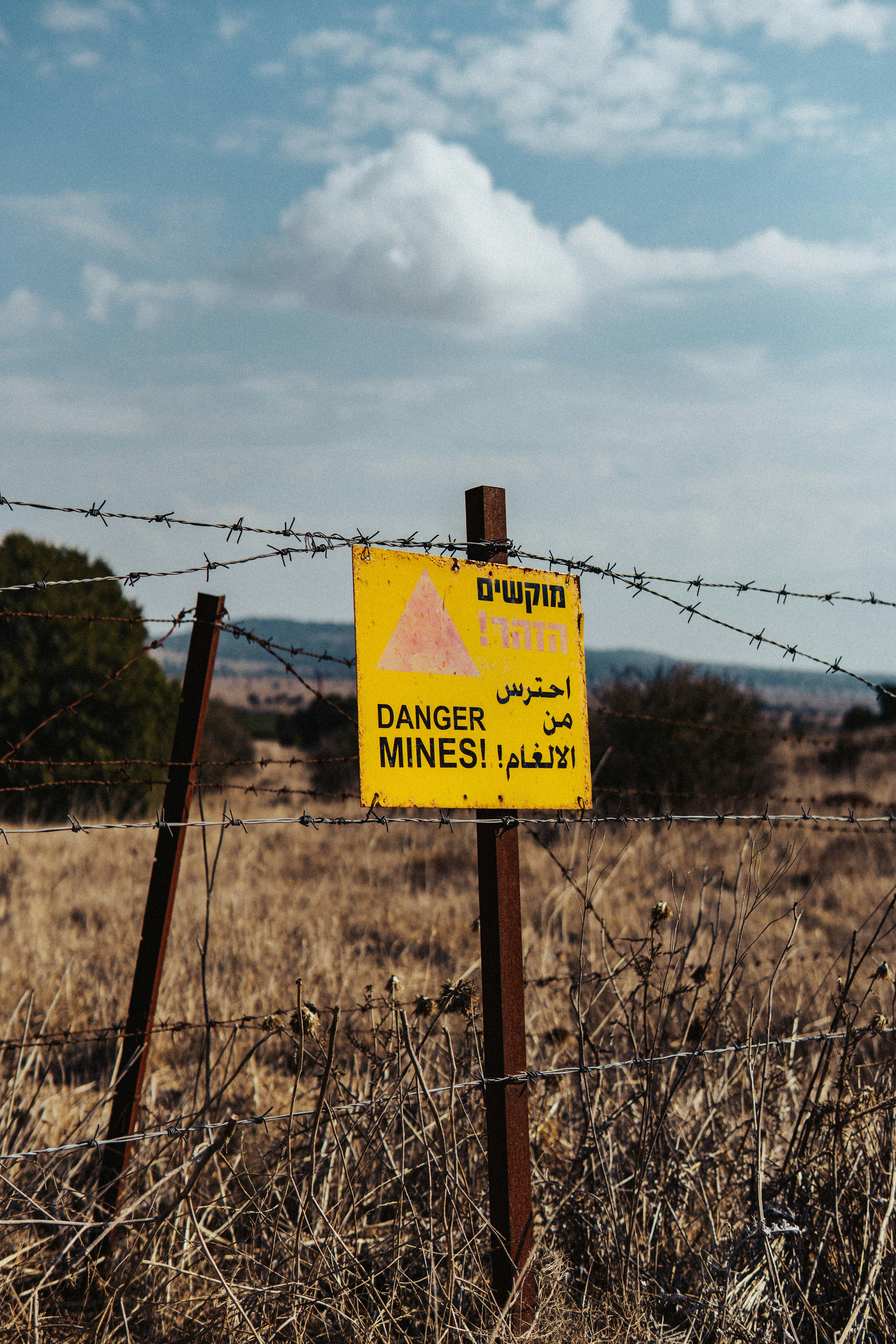 Yellow and red road sign photo – Free War Image on Unsplash