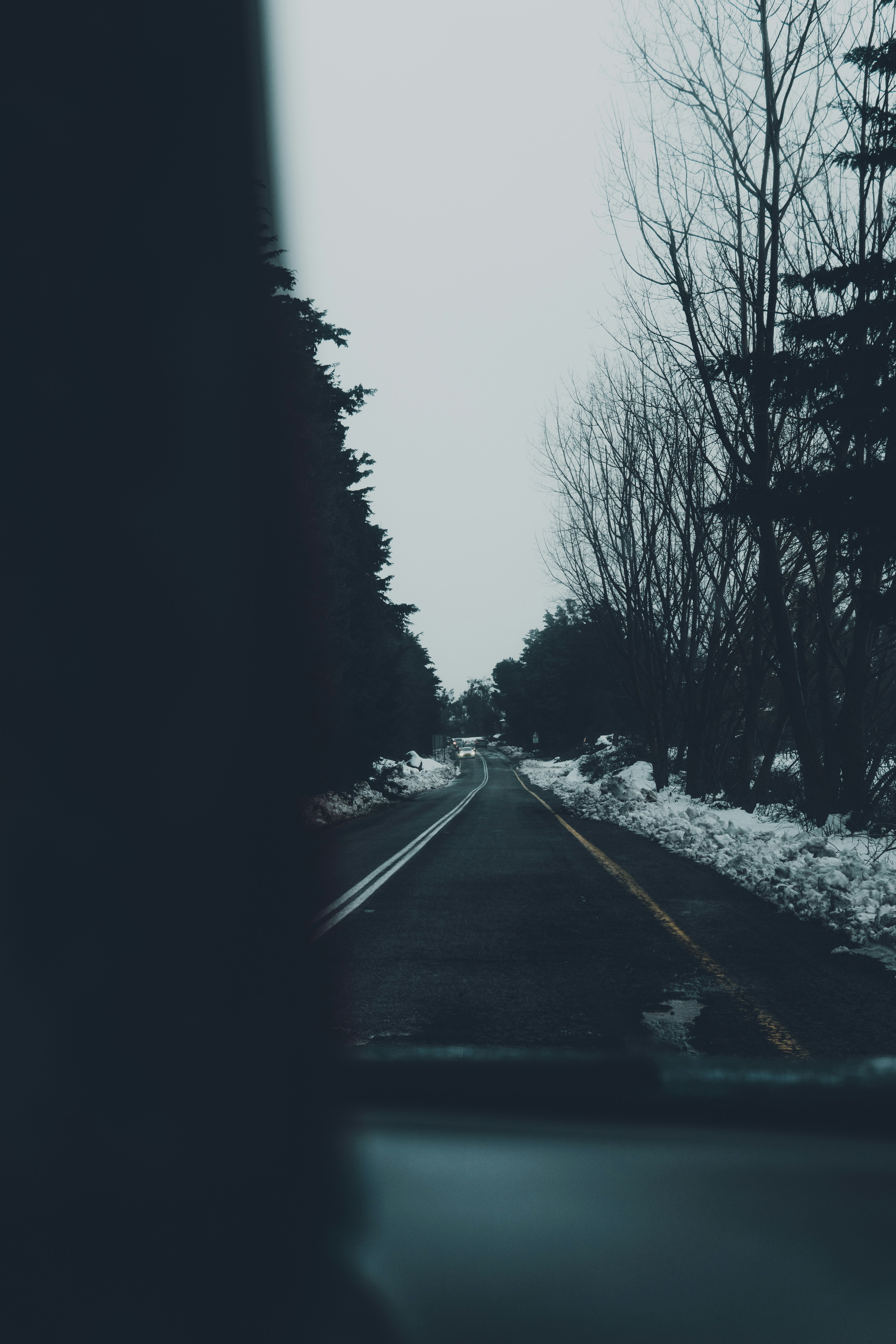 A narrow road meanders through a snowy landscape, bordered by leafless trees under a gray sky.