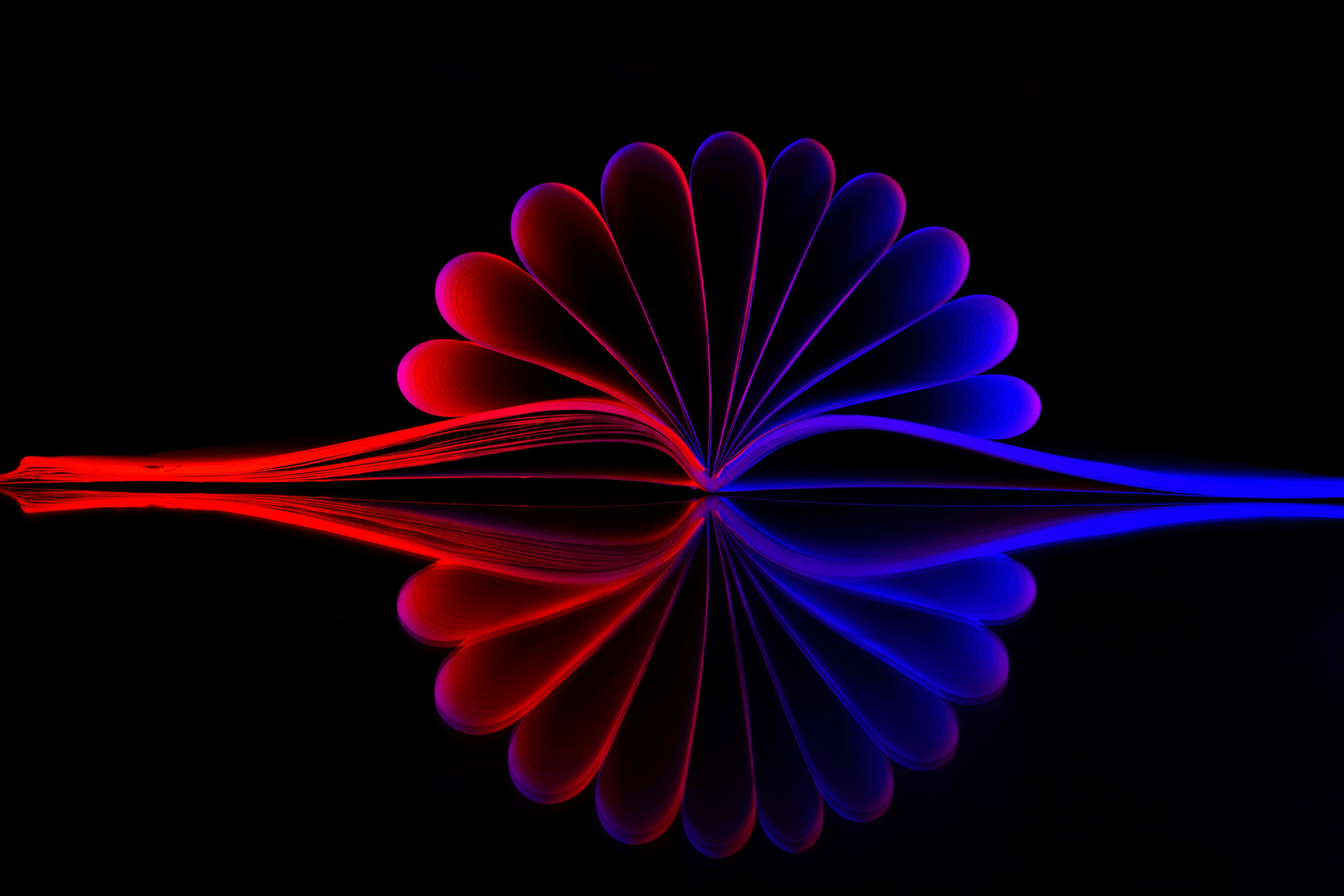 Blue and red light illustration photo – Free Ornament Image on Unsplash