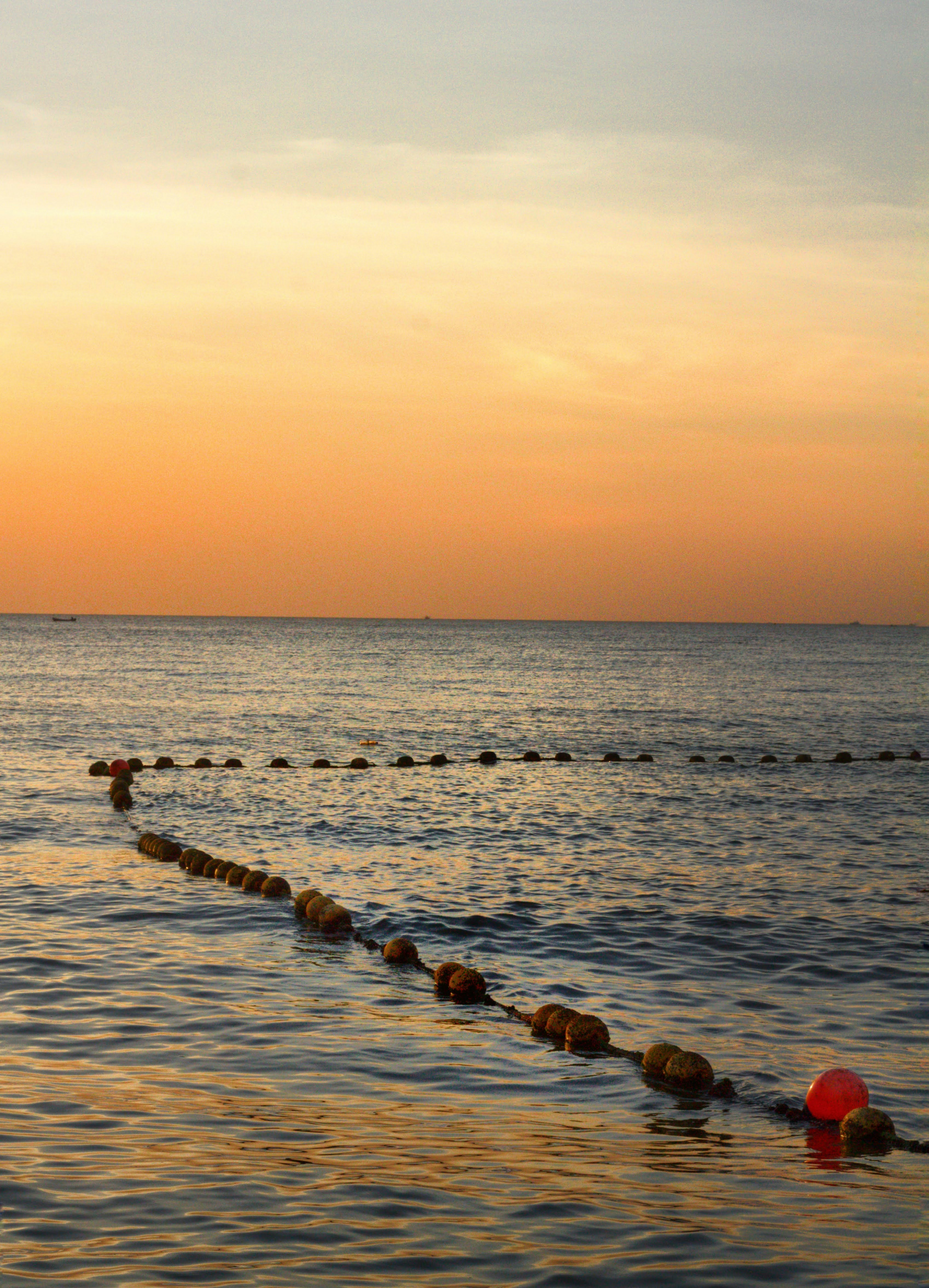 A tranquil seascape at sunset, featuring a fisherman casting a net marked by colorful buoys against a serene water backdrop. 