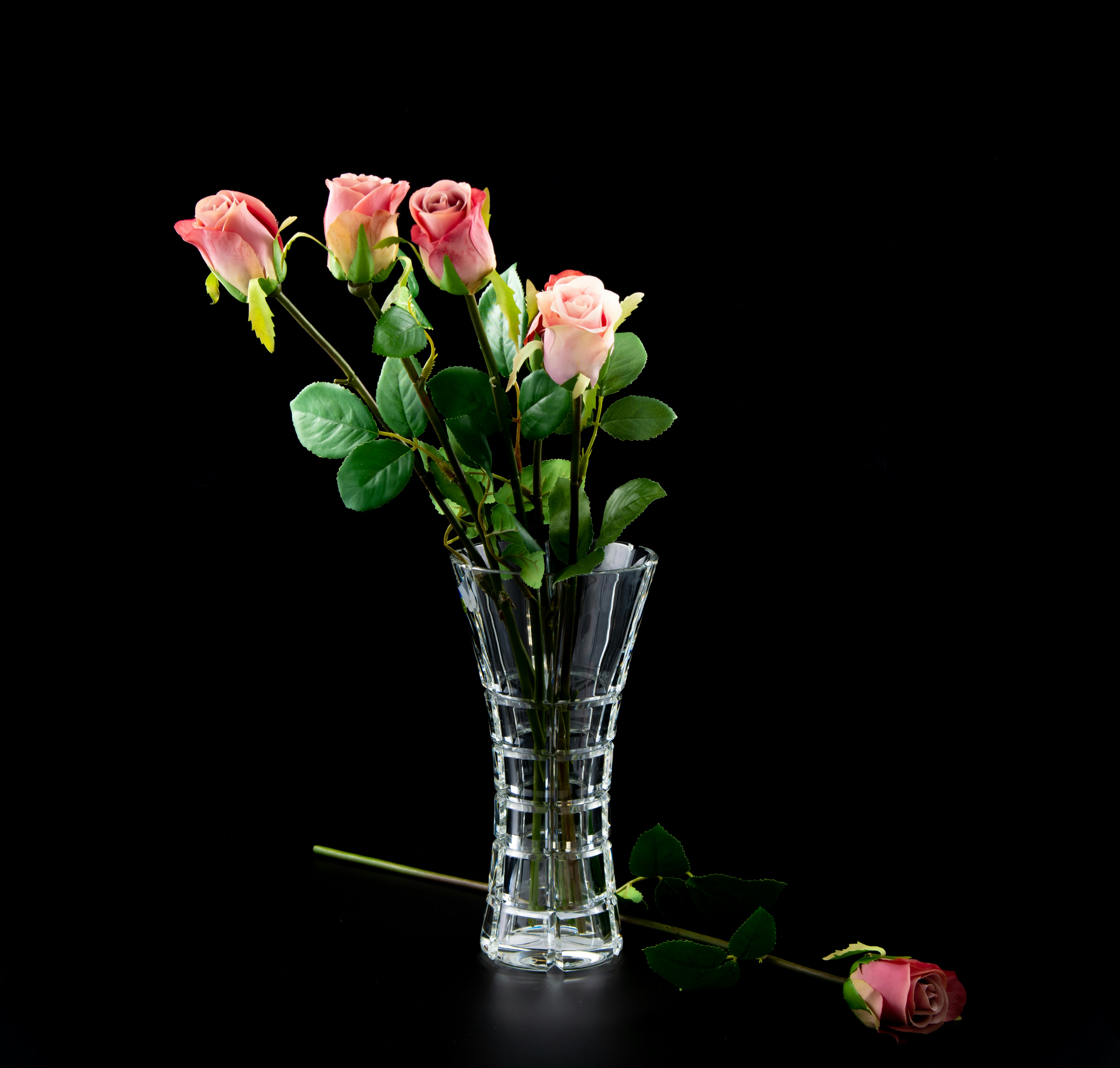 Pink roses in clear glass vase photo – Free Black background Image on ...