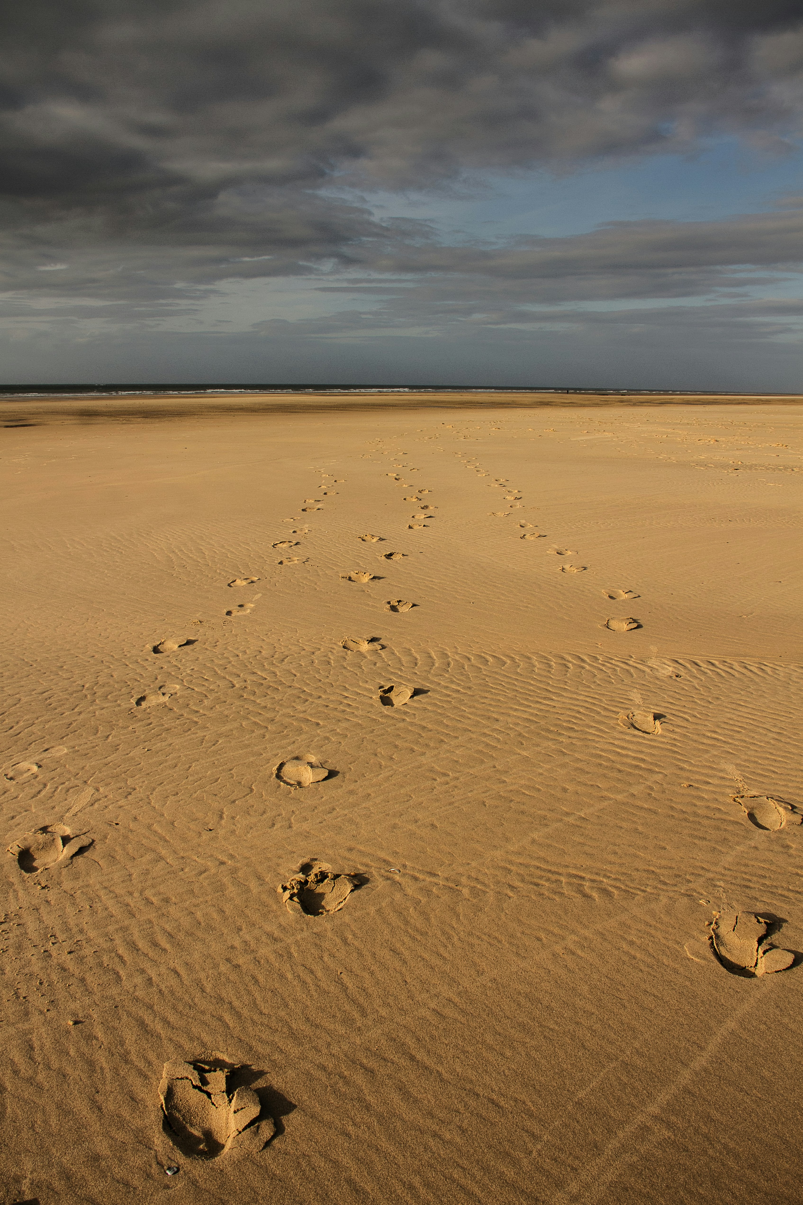 Footprints to the Distant Horizon on an Empty Shore Under Moody Clouds