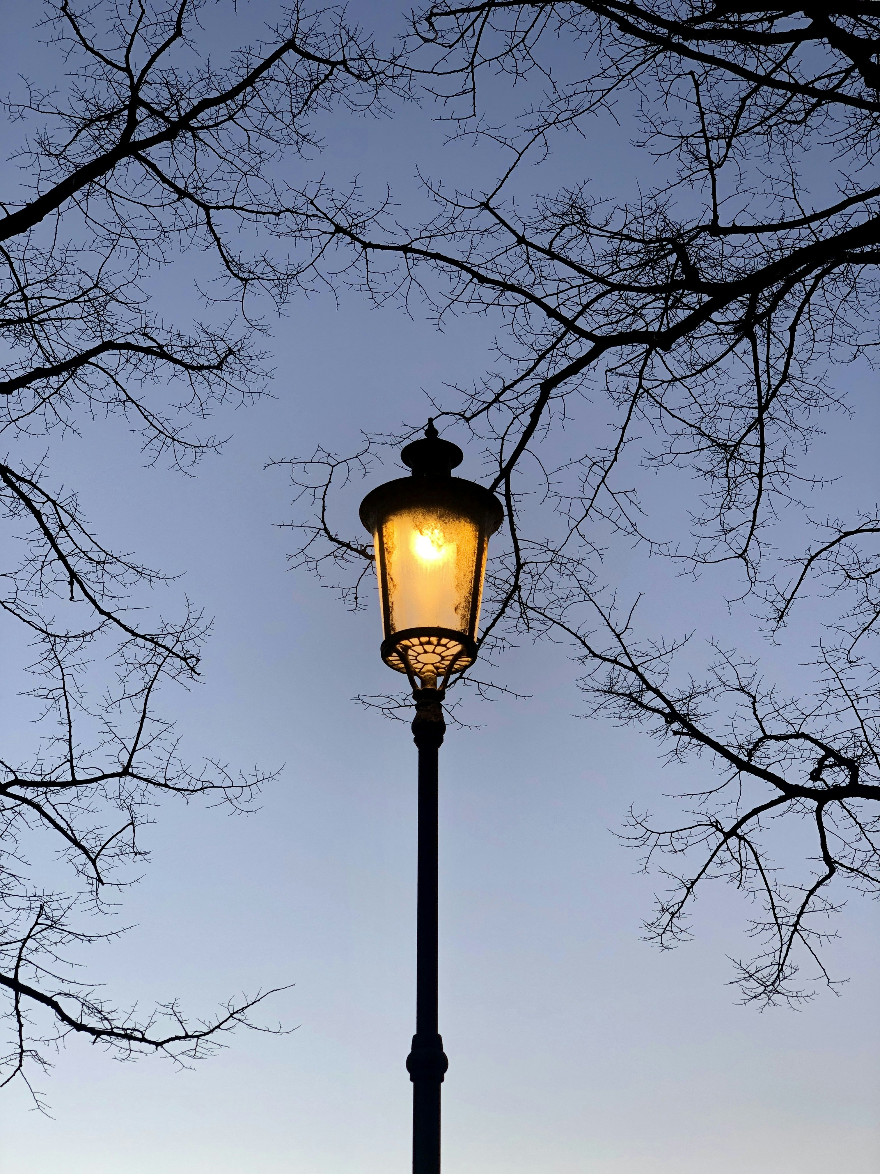 Black street lamp near bare trees during daytime photo – Free 帕尔马 Image ...