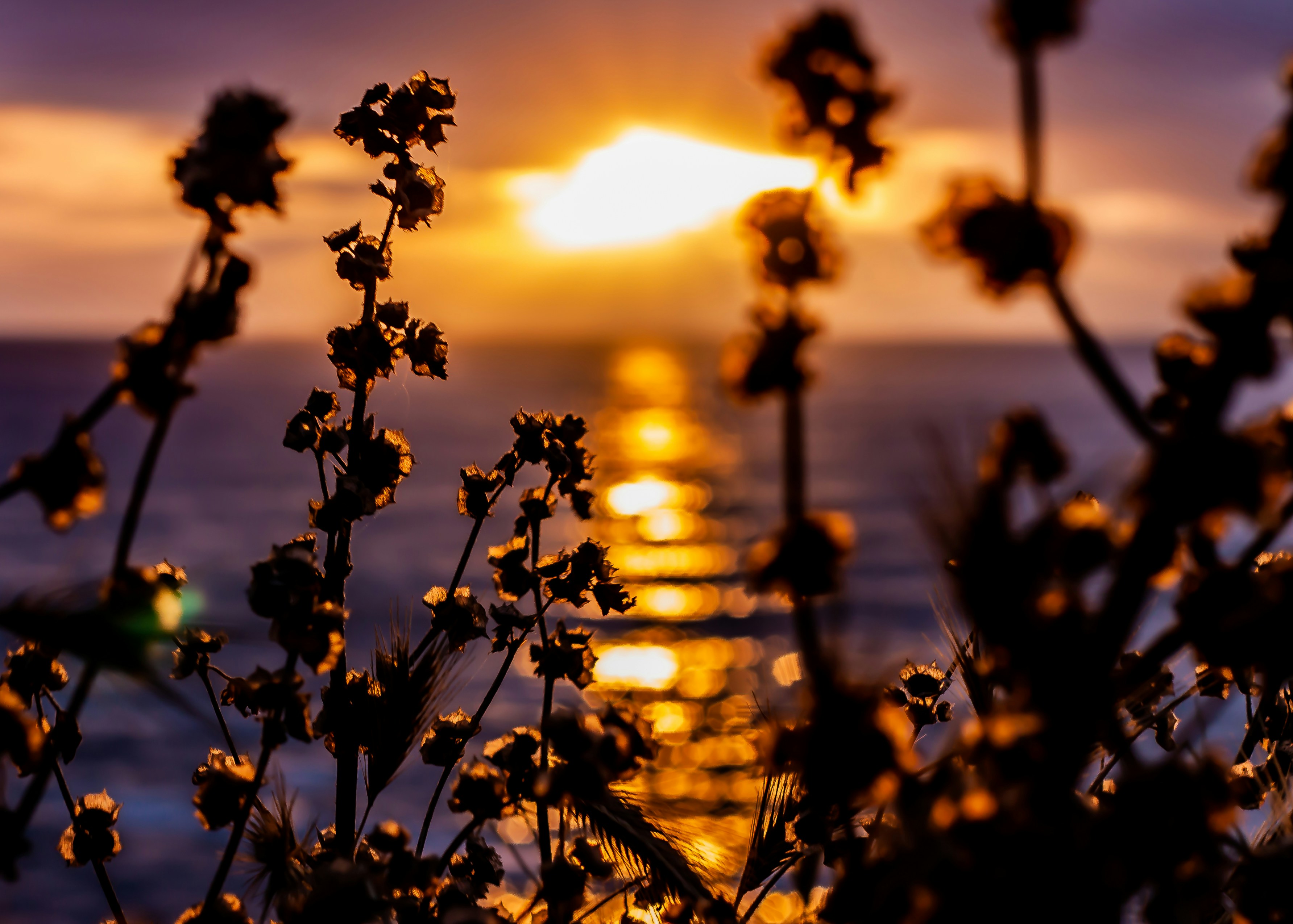 Sample photo from Canon EOS 500D