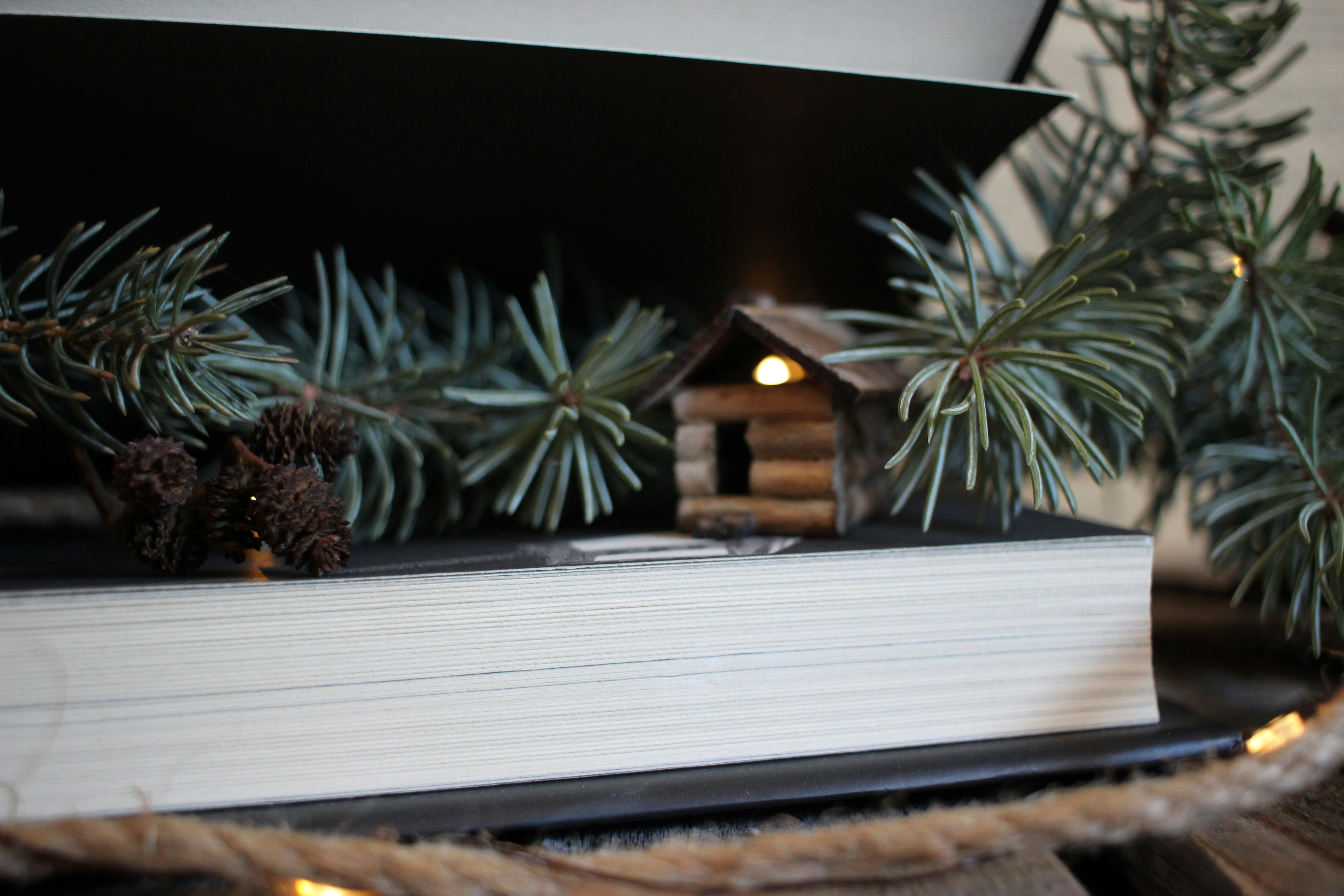 Tiny Log Chalet Awash in Warm Glow Resting on a Plush Book