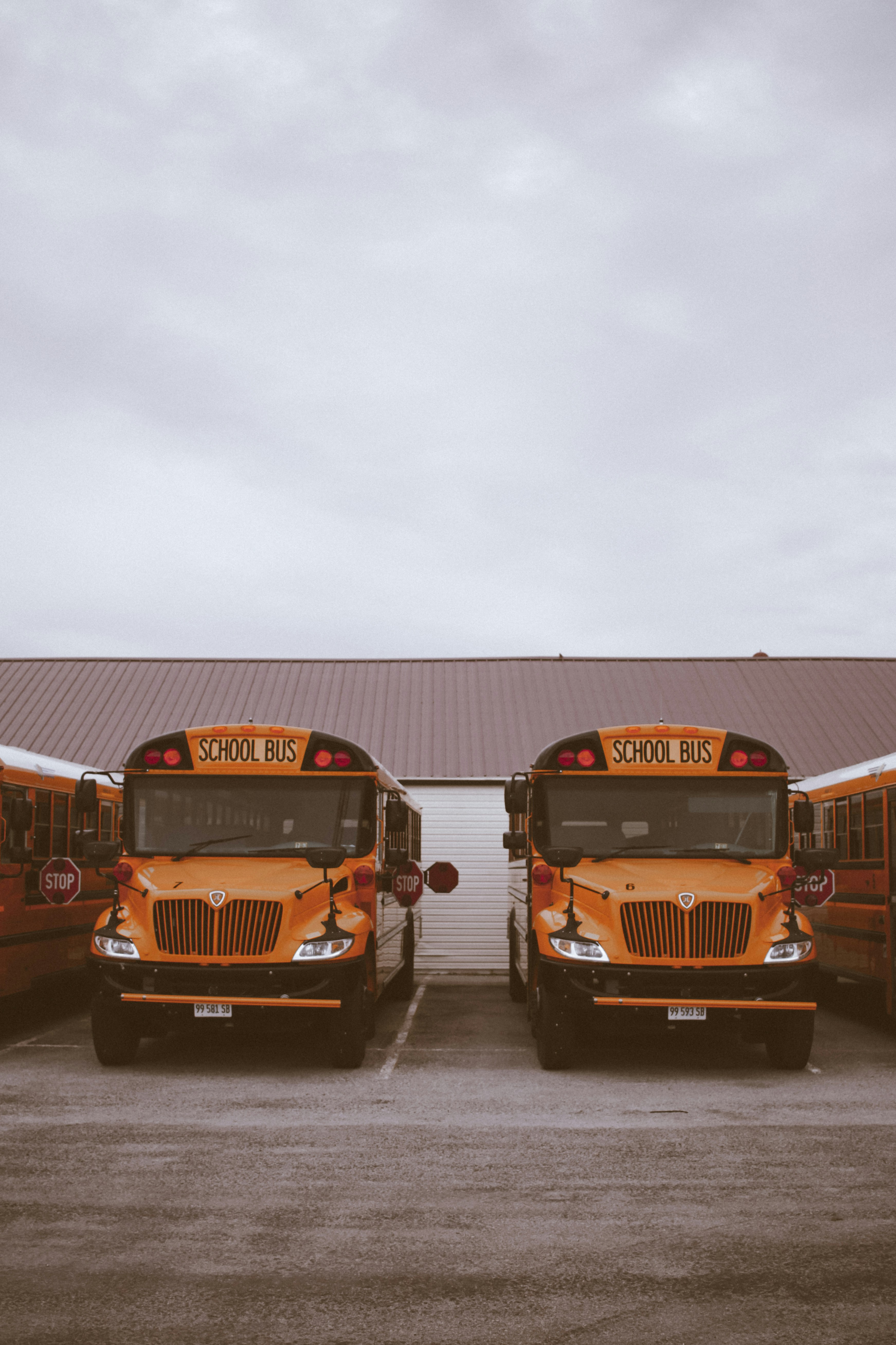 Two yellow school buses parked side by side in a lot, with a backdrop of a gray sky and a building. The buses prominently display 'SCHOOL BUS' signage.
